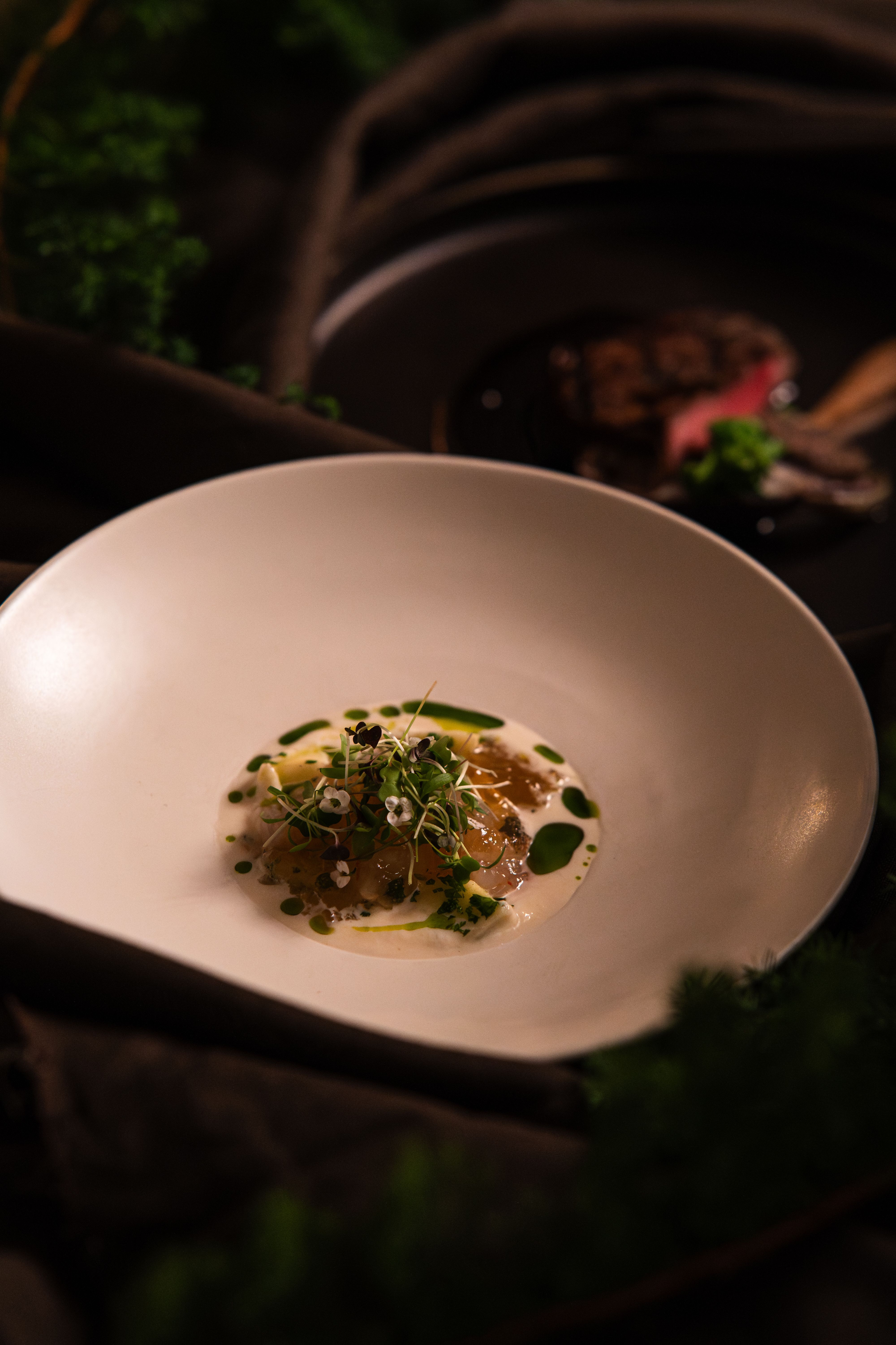 Elegant Fine Dining Dish in Tokyo Restaurant · Free Stock Photo