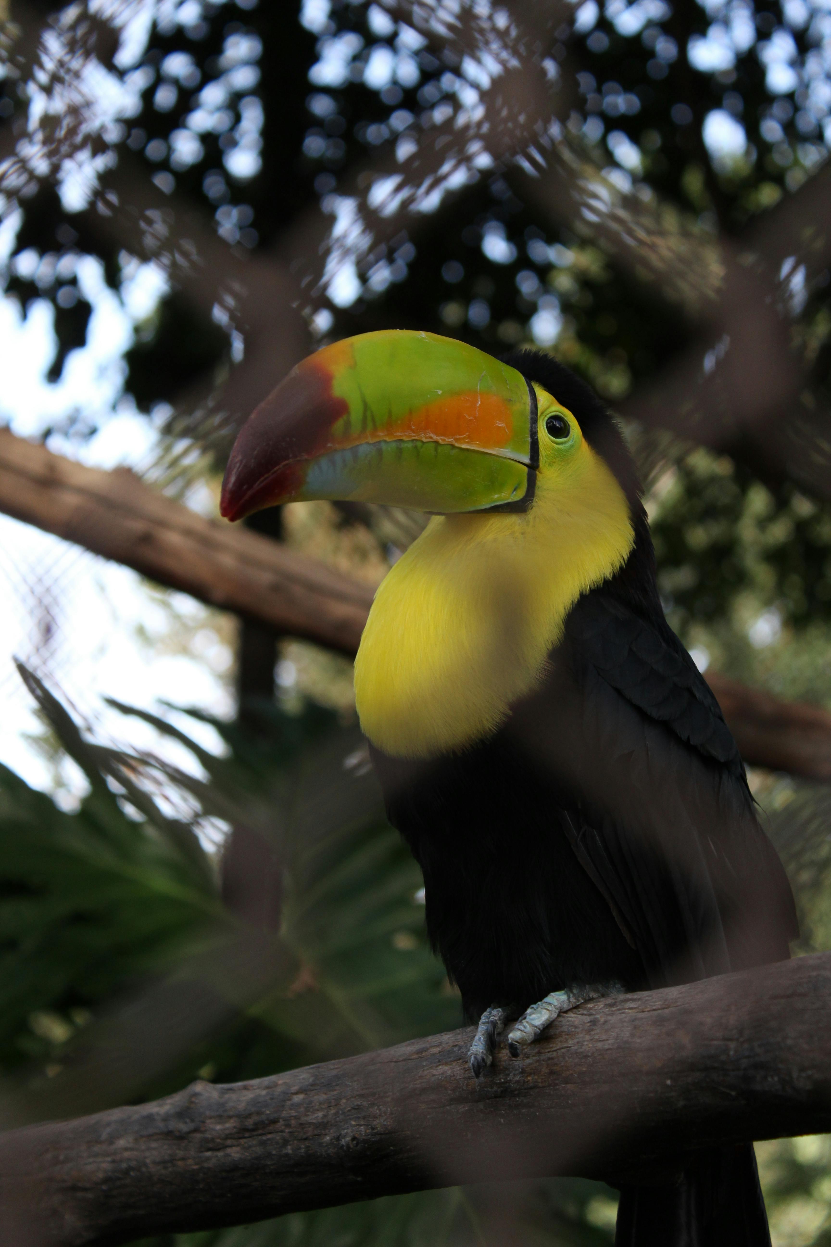 Buffalo+Bills+Score Photos, Download The BEST Free Buffalo+Bills+Score ...