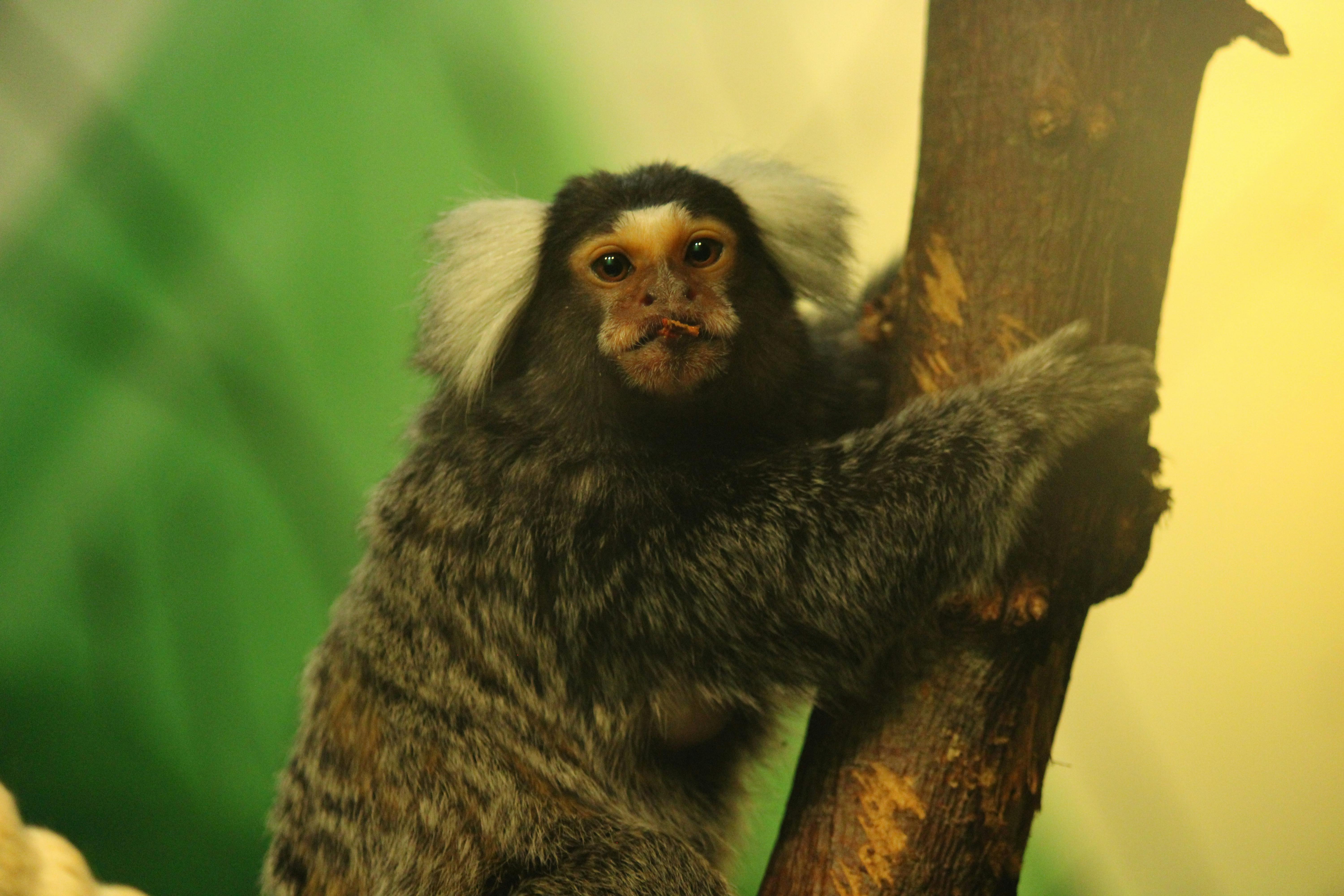 Cute+Imx+Girls Photos, Download The BEST Free Cute+Imx+Girls Stock ...