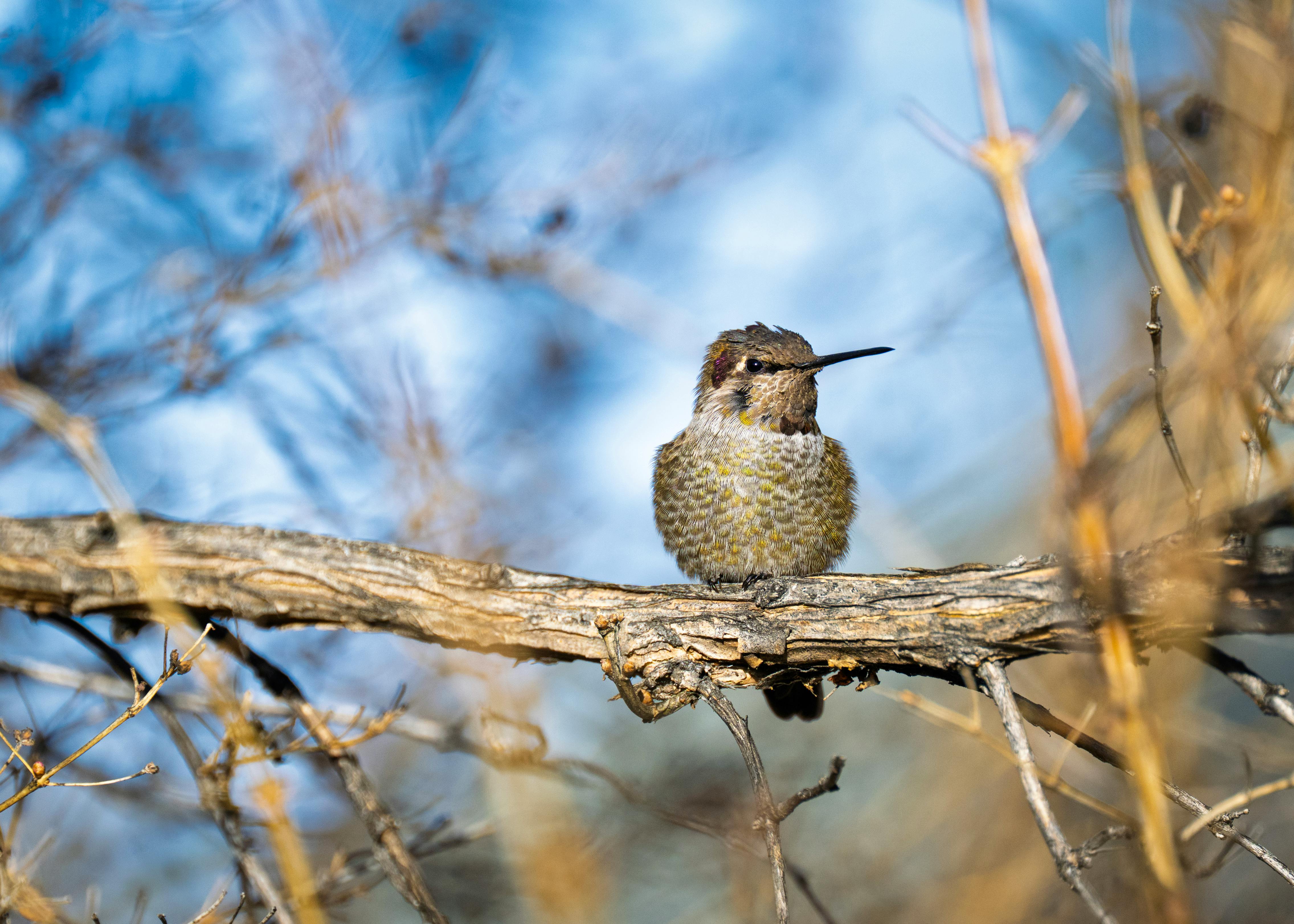 483+ Fotos y Imágenes de Vladmodels+anna+y176 Gratis · Banco de Fotos ...