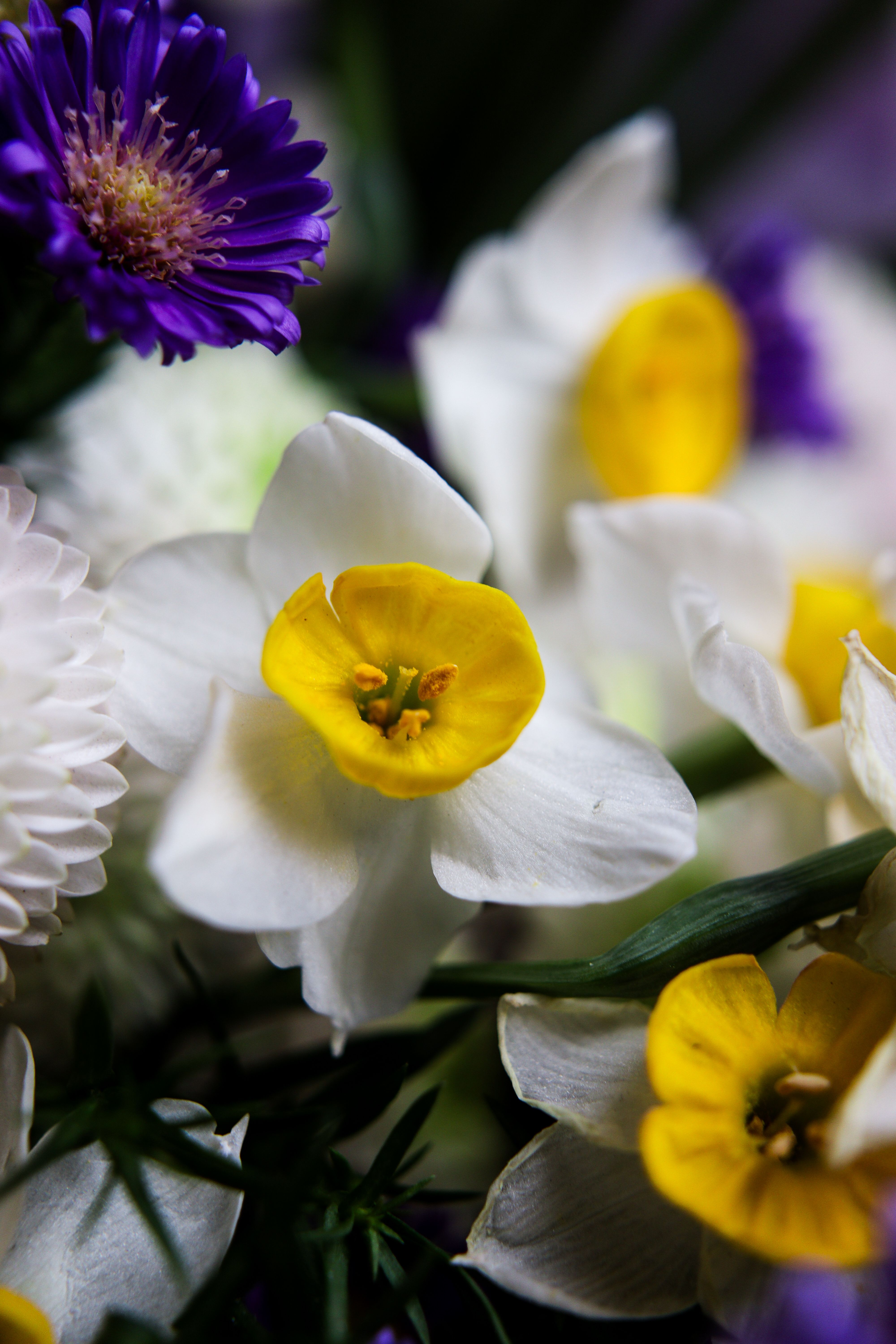 1,000,000+ Best Flowers In Nature Photos · 100% Free Download · Pexels ...