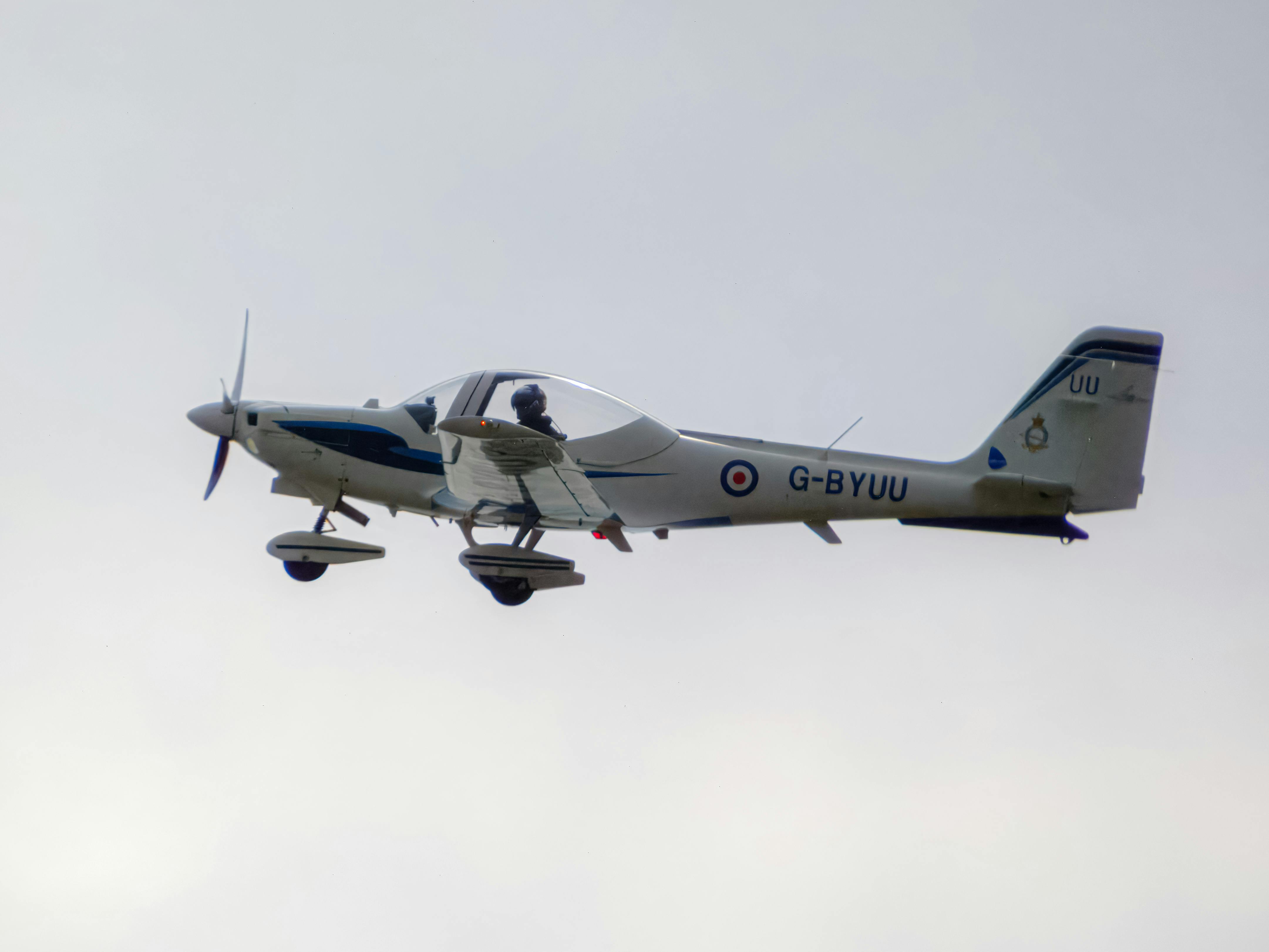 Sonh+G Photos, Download The BEST Free Sonh+G Stock Photos & HD Images