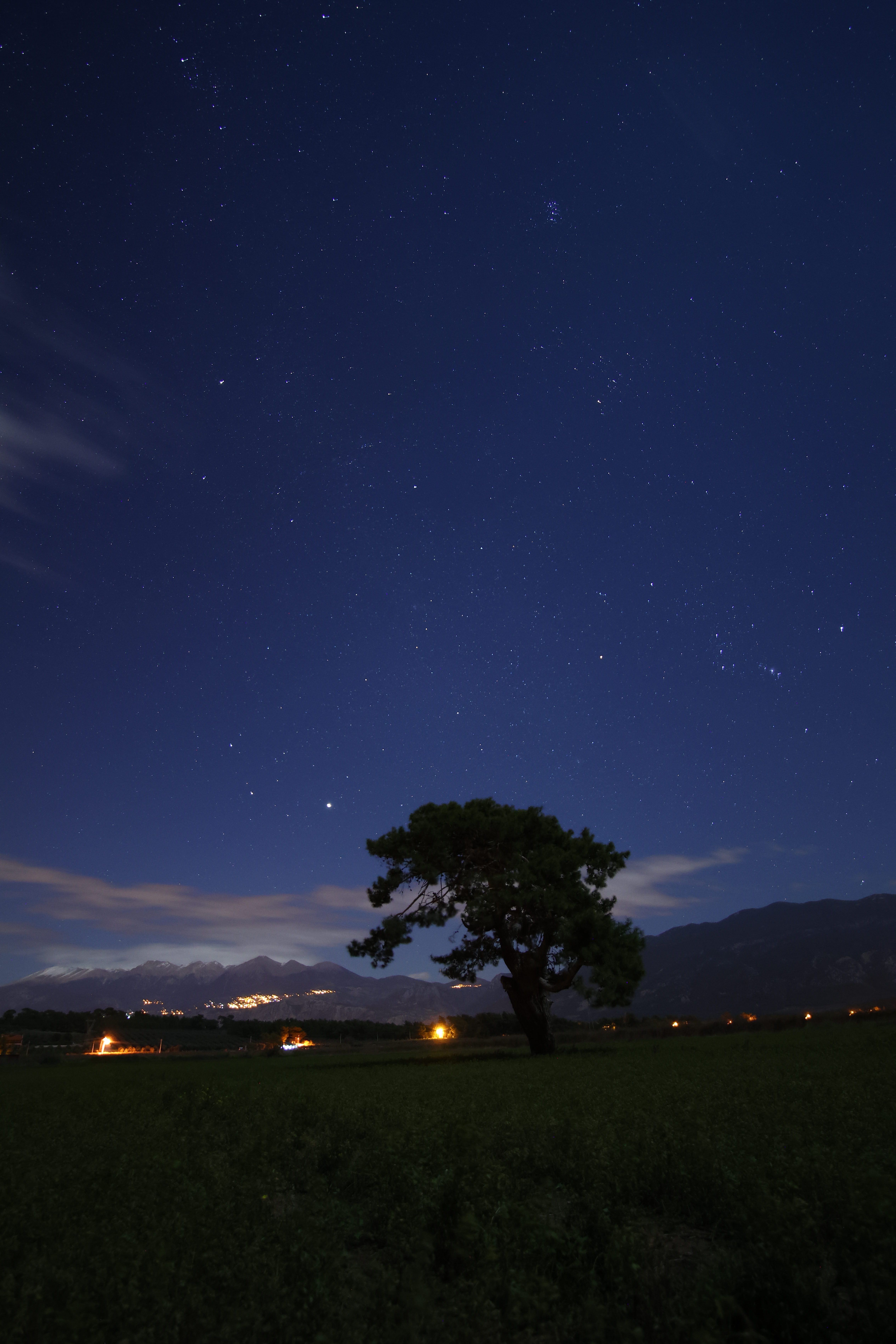 Starry Night Sky Over Lone Tree in Countryside · Free Stock Photo