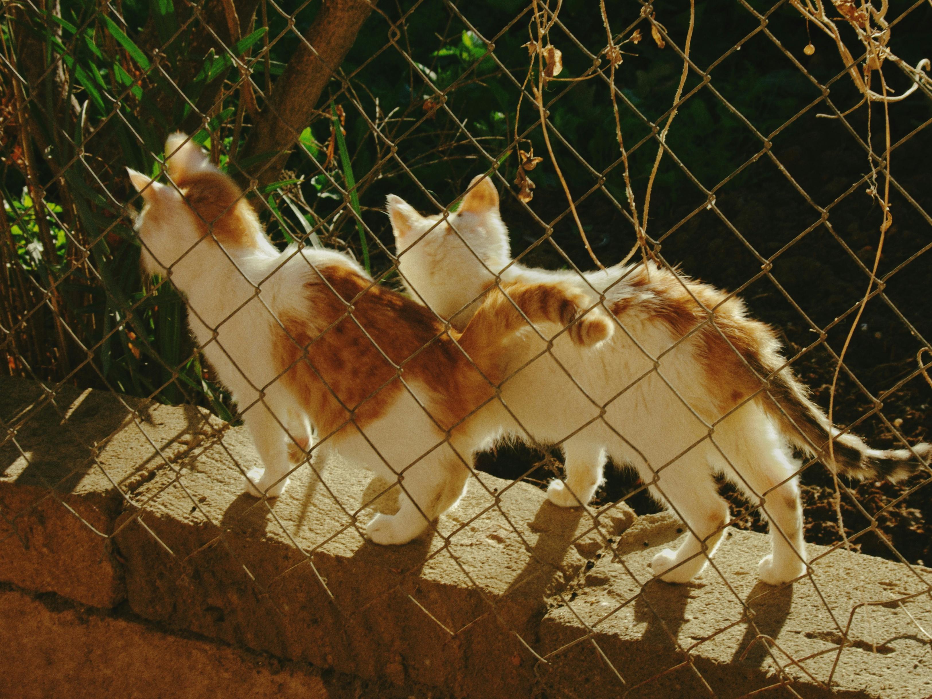 Cute+Nn+Jb+Girls Photos, Download The BEST Free Cute+Nn+Jb+Girls Stock ...