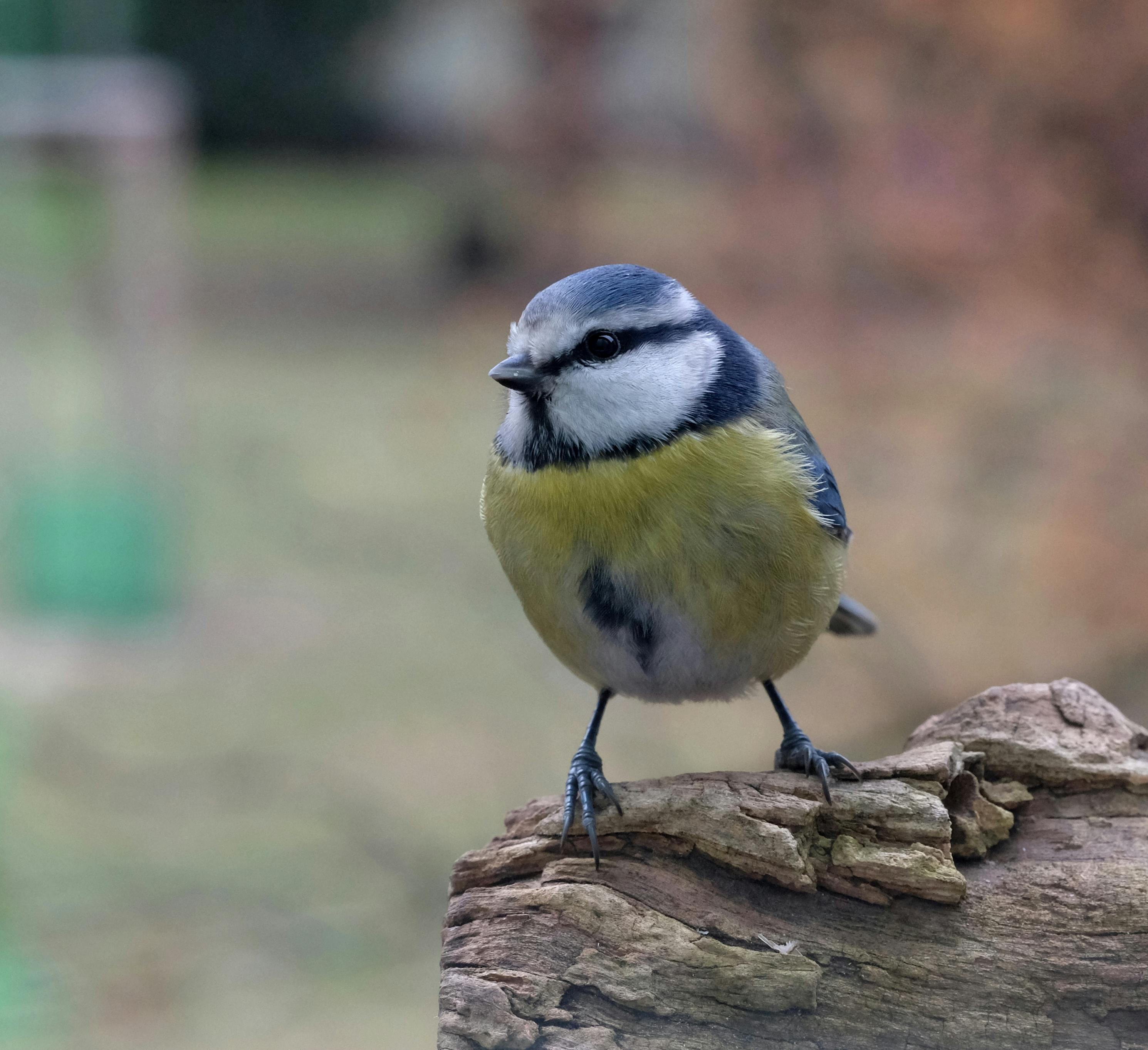 Pinoy+Titi+Pic Photos, Download The BEST Free Pinoy+Titi+Pic Stock ...