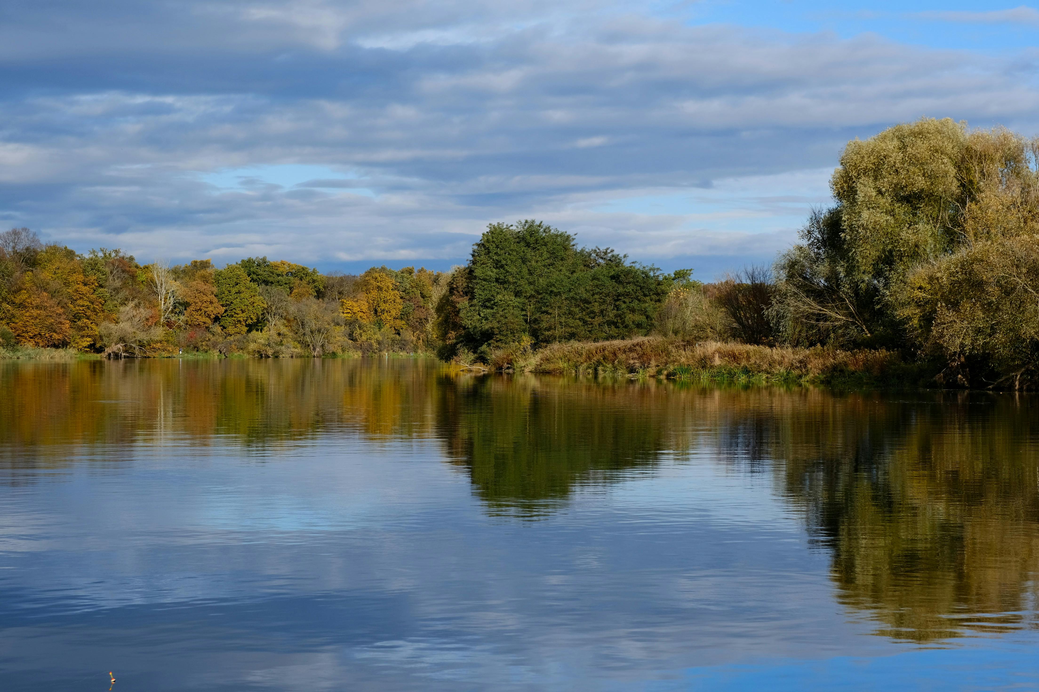 Ninja Images Photos, Download The BEST Free Ninja Images Stock Photos ...