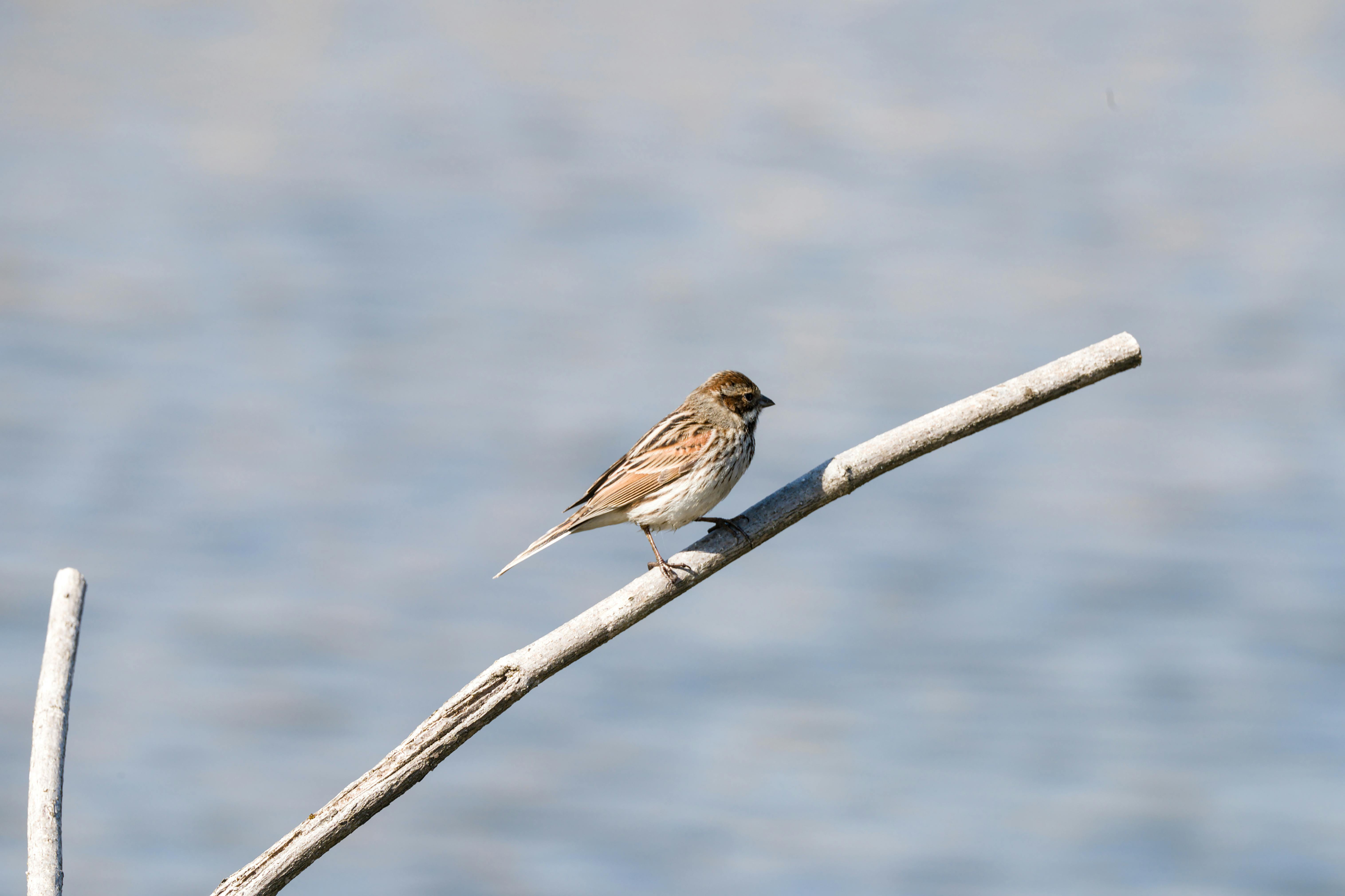 Image Should Be Small Photos, Download The BEST Free Image Should Be ...