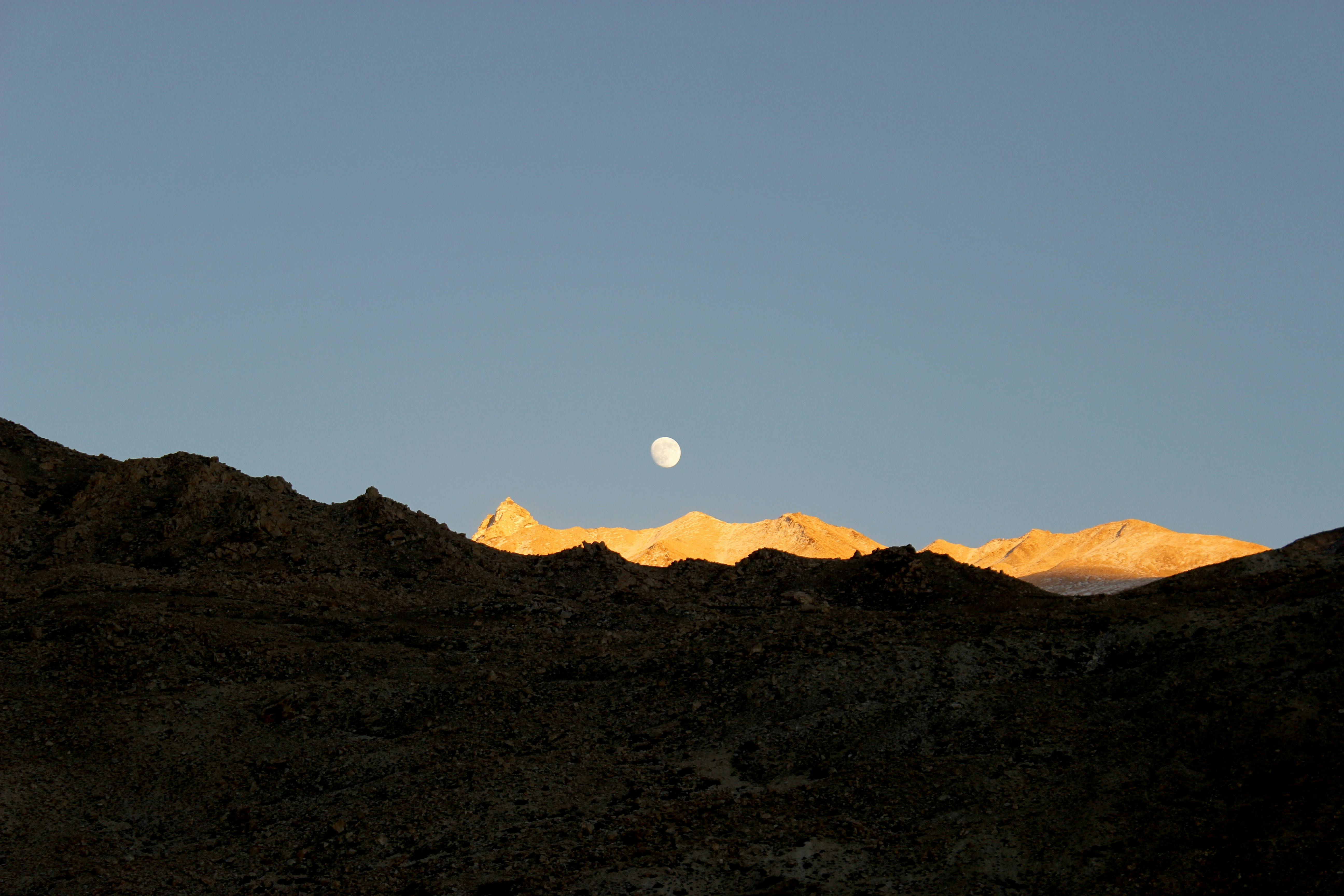 Google+India+Search Photos, Download The BEST Free Google+India+Search ...