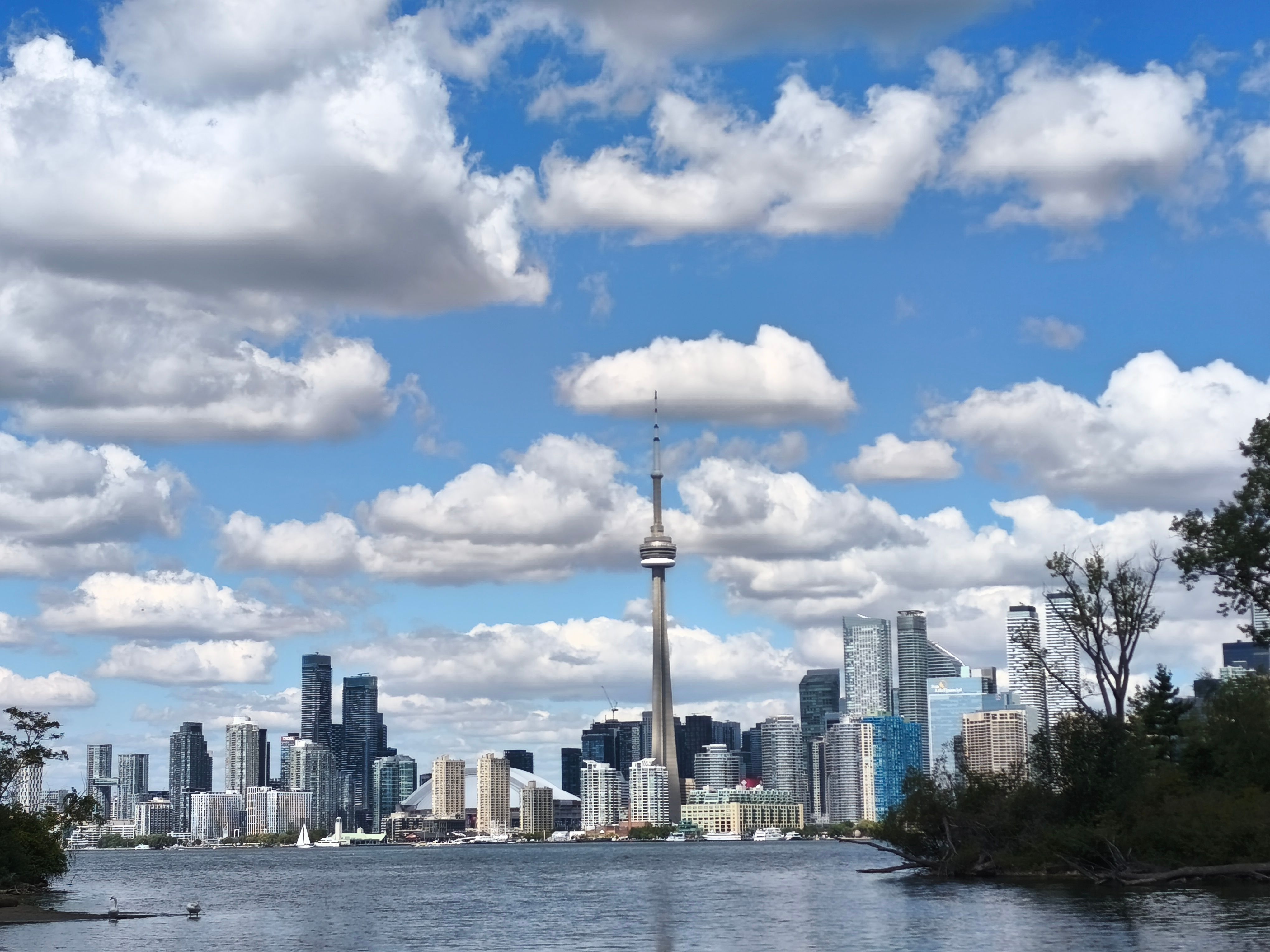 Toronto Skyline with CN Tower under Blue Sky · Free Stock Photo