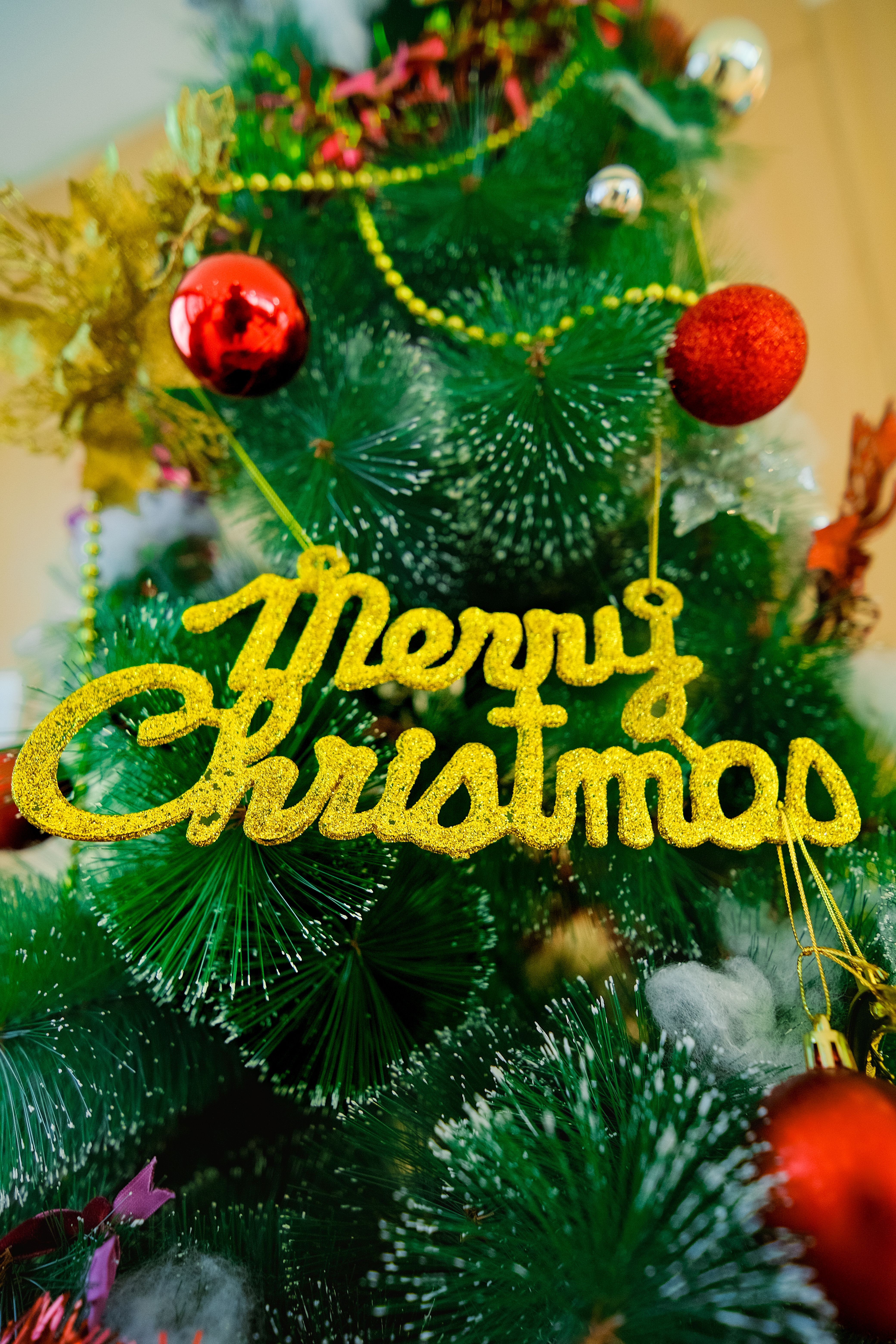 Festive Season Photos, Download The BEST Free Festive Season Stock ...