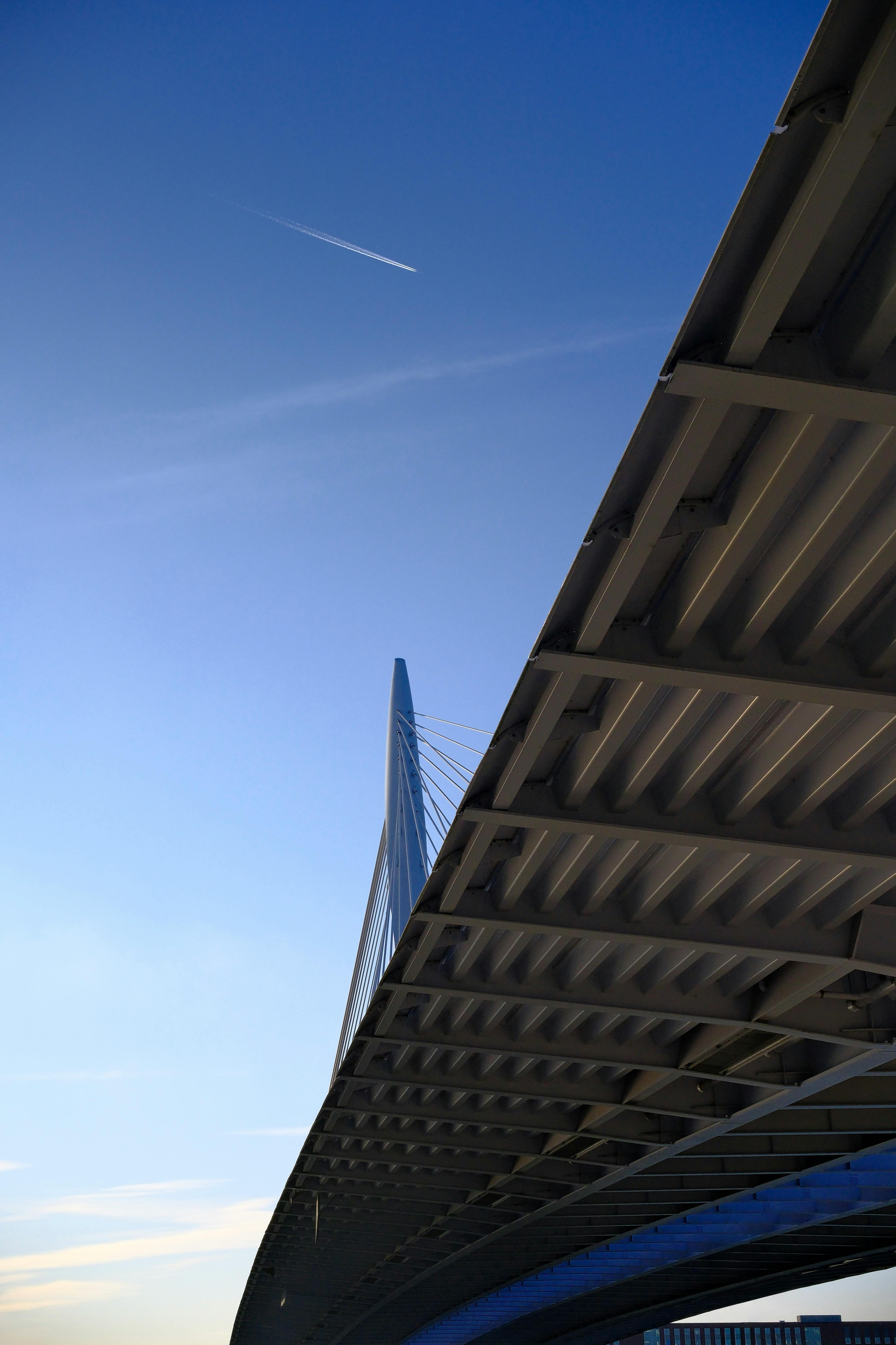 Aerial View Of Swans Photos, Download The BEST Free Aerial View Of ...