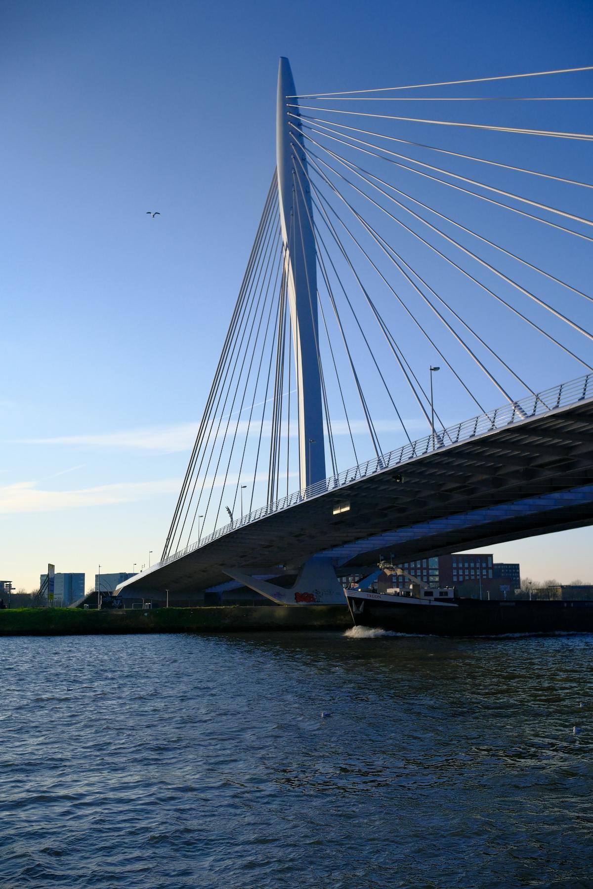 Maa Tara Wallpaper Photos, Download The BEST Free Maa Tara Wallpaper ...