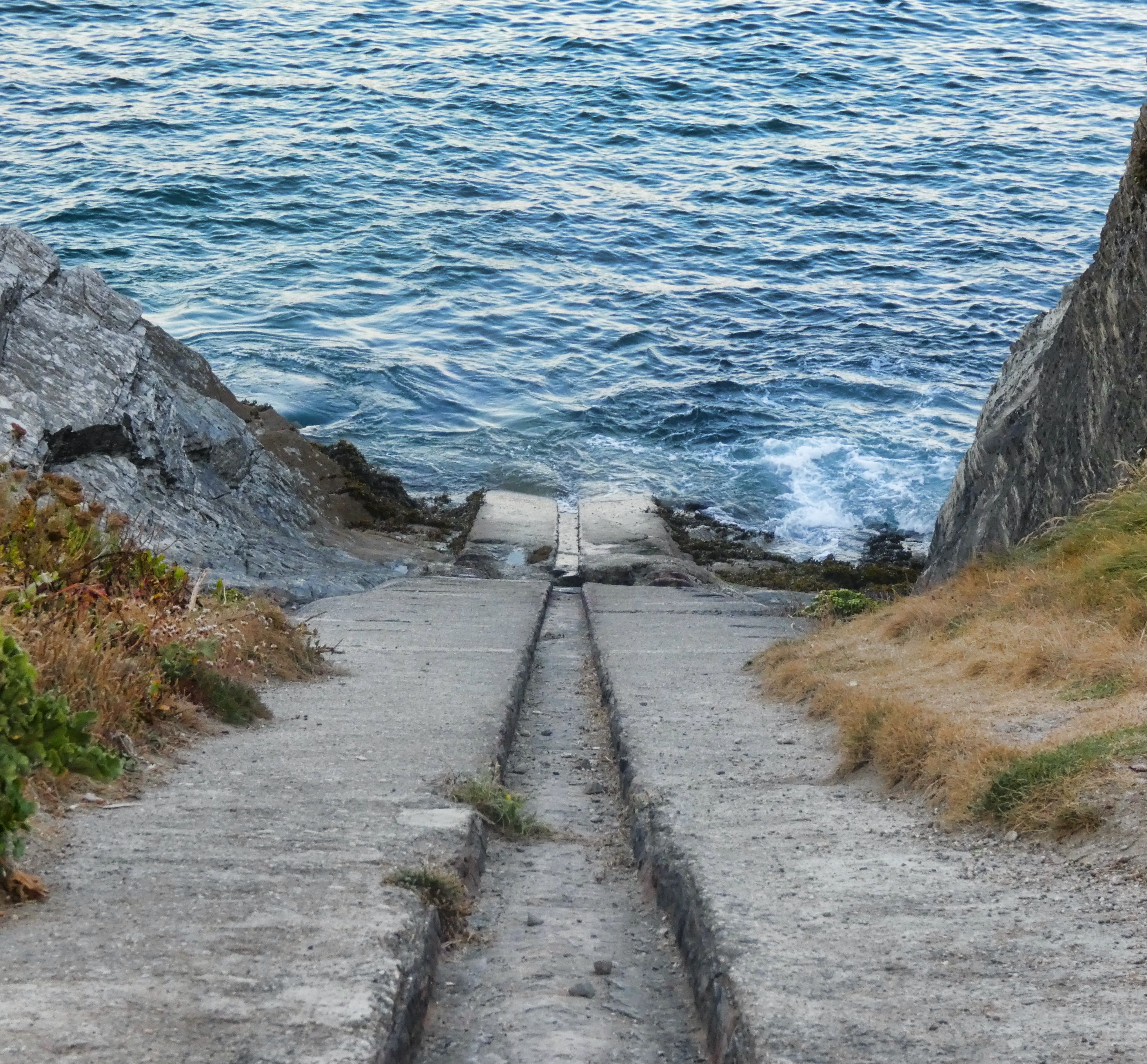 Coastal Pathway Leading to Ocean Waves · Free Stock Photo