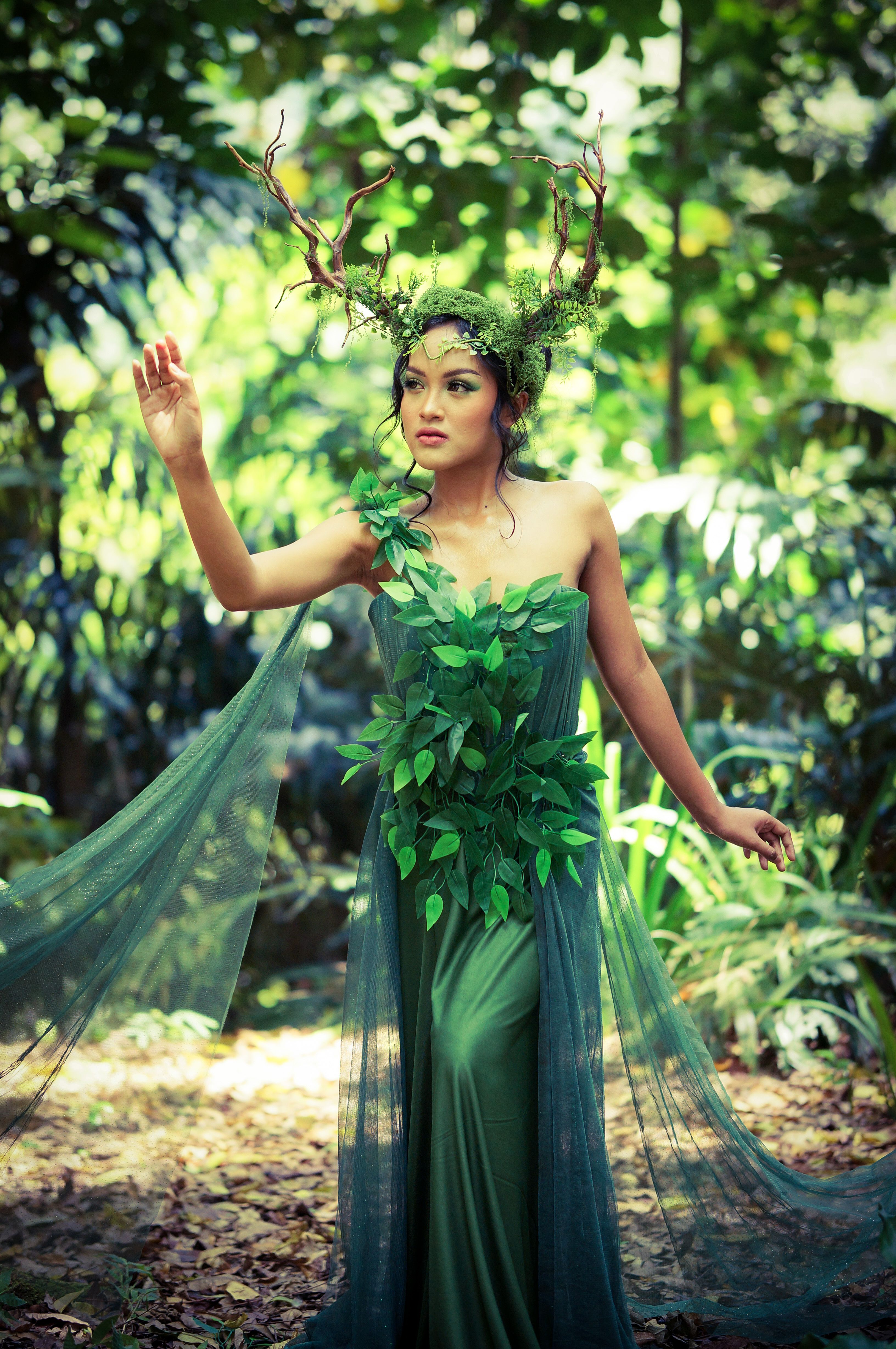 Nymph Photos, Download The BEST Free Nymph Stock Photos & HD Images