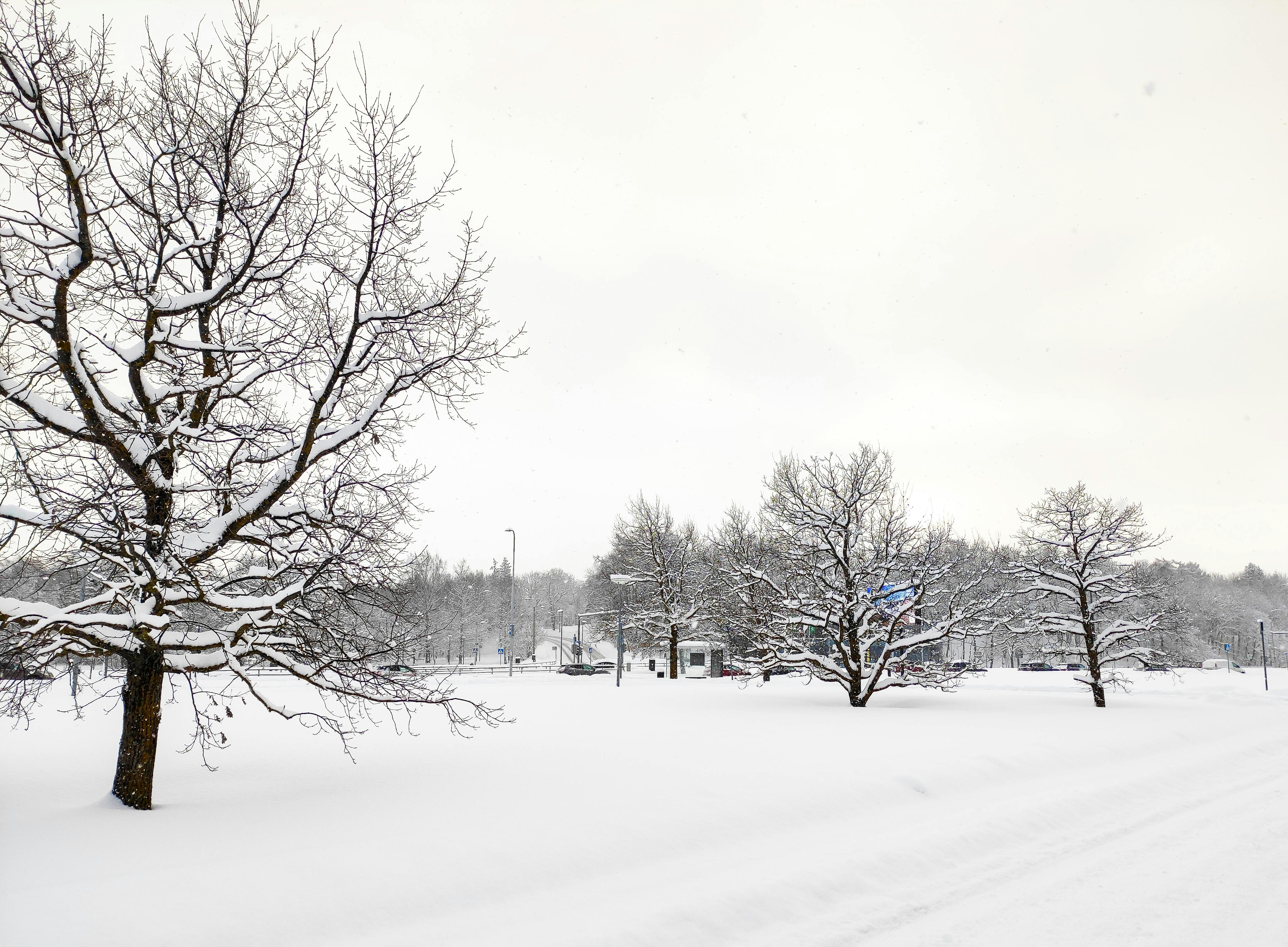 Www+Cold Photos, Download The BEST Free Www+Cold Stock Photos & HD Images