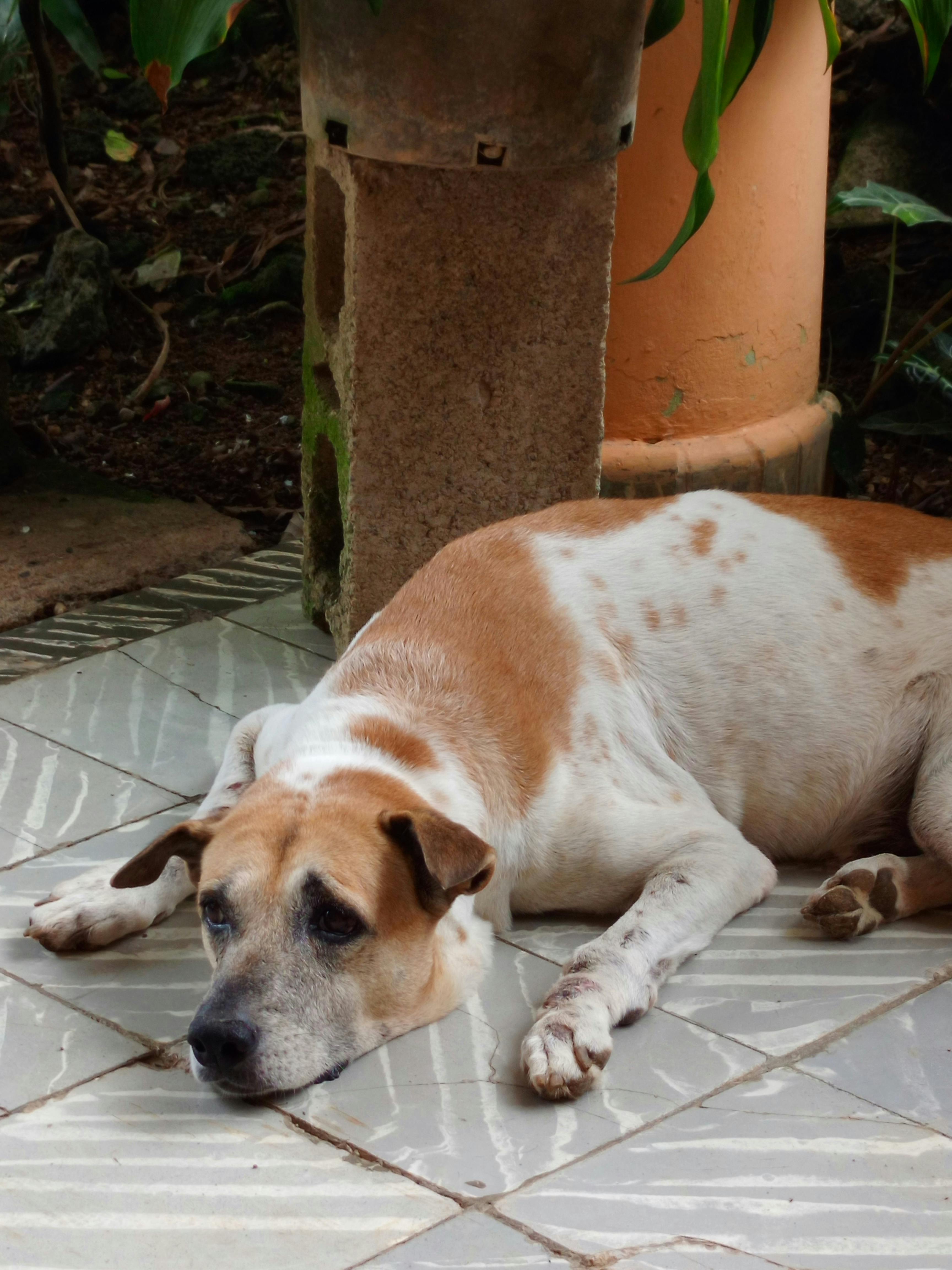 Hot+Legs+Gifs Photos, Download The BEST Free Hot+Legs+Gifs Stock Photos ...