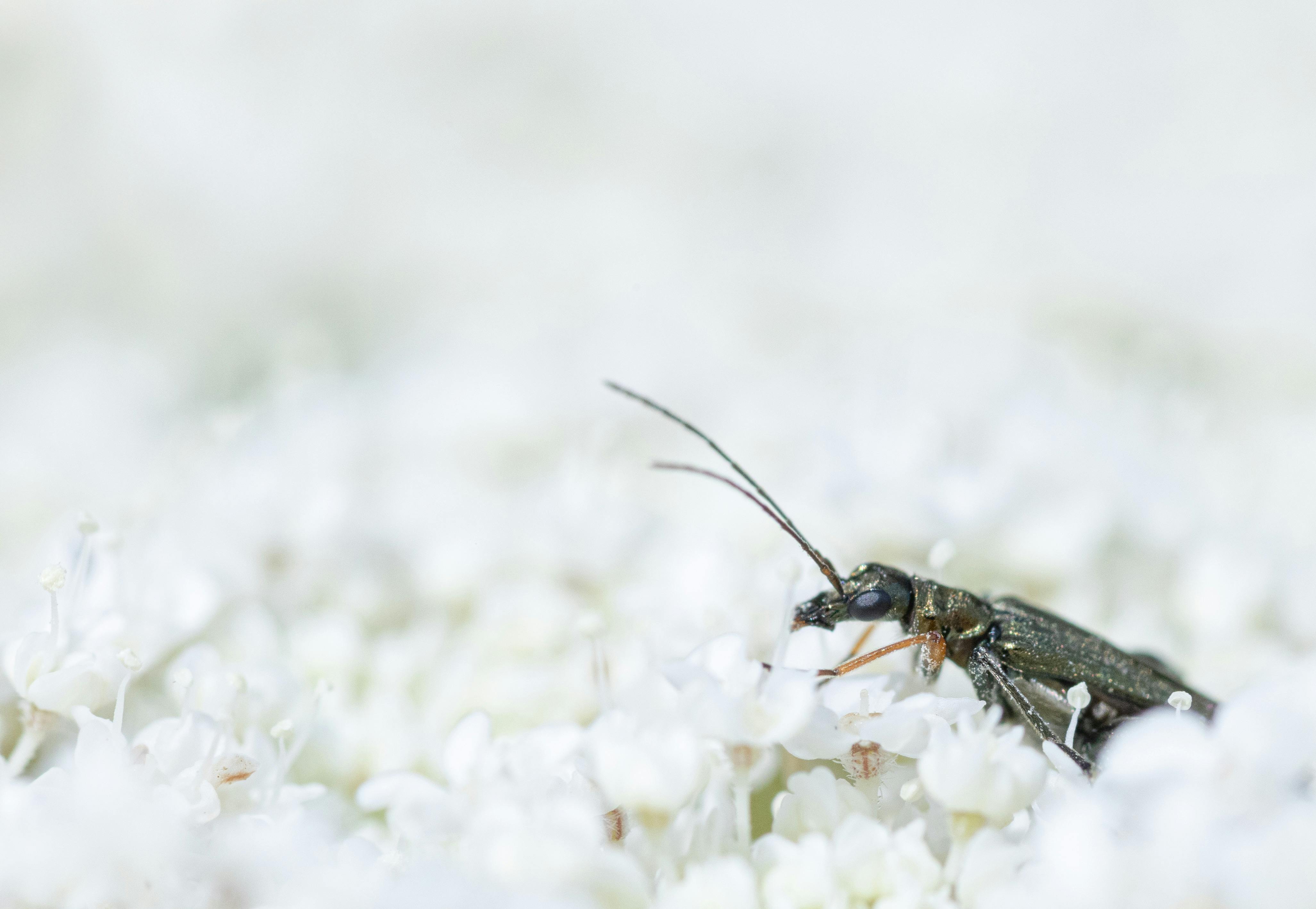 Zoom Backgrounds Blurred Photos, Download The BEST Free Zoom ...