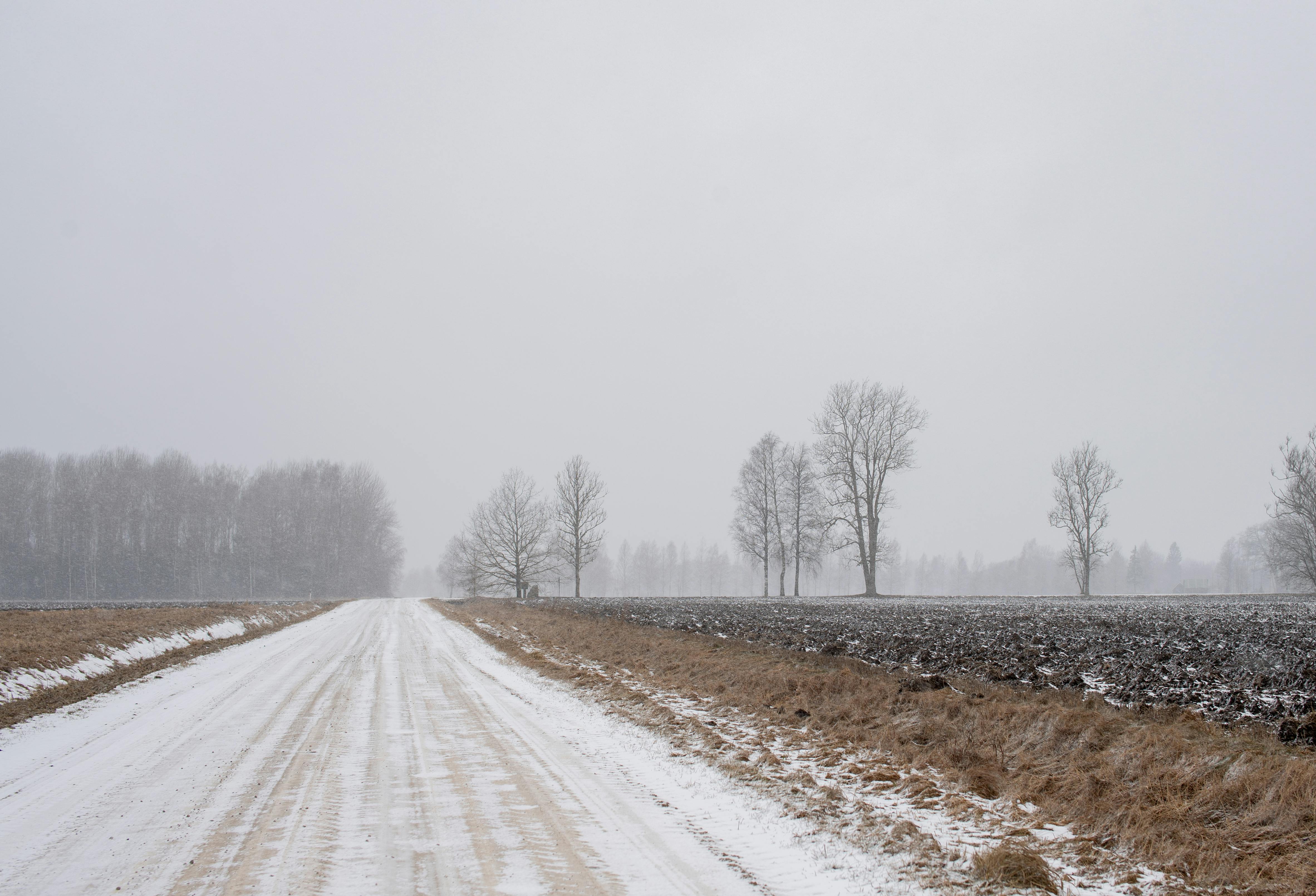 Www+Cold Photos, Download The BEST Free Www+Cold Stock Photos & HD Images