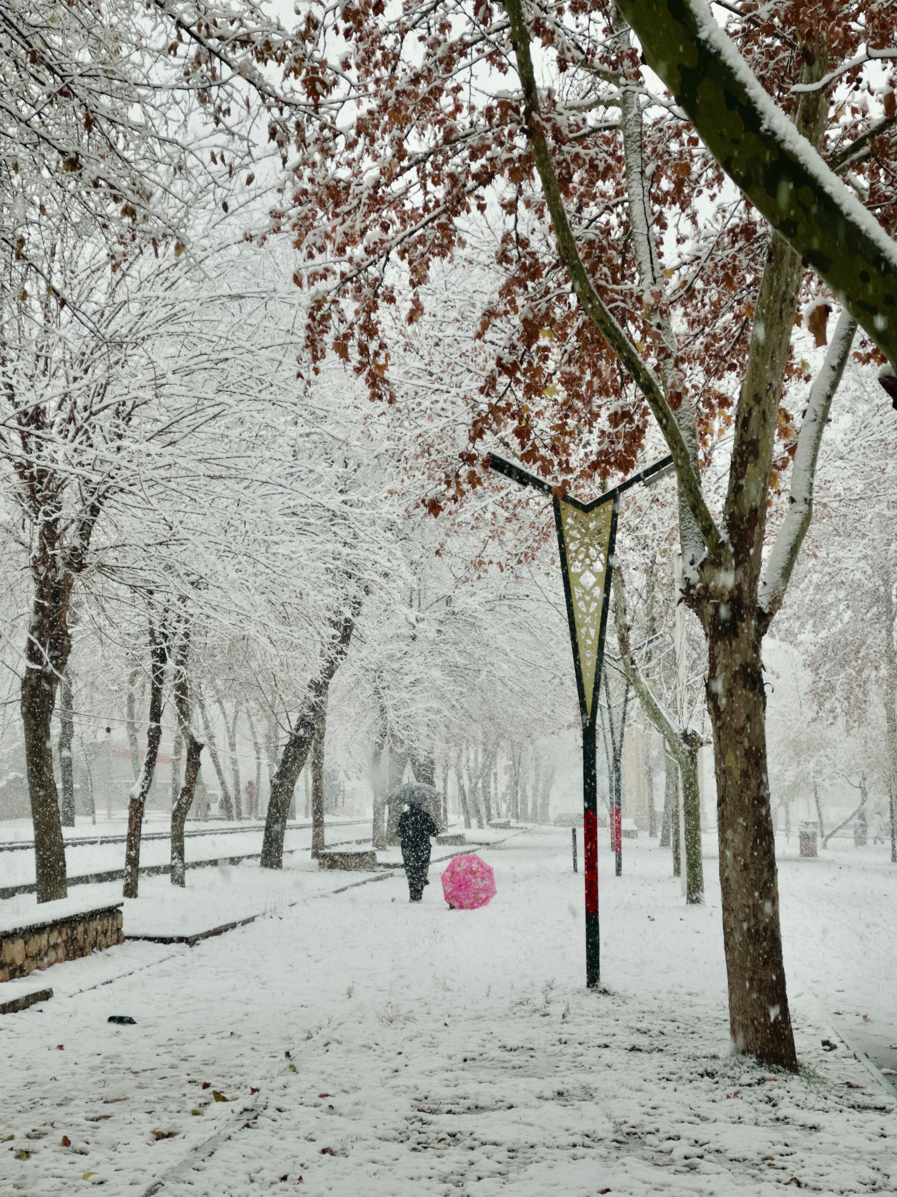 Snow Day Photos, Download The BEST Free Snow Day Stock Photos & HD Images