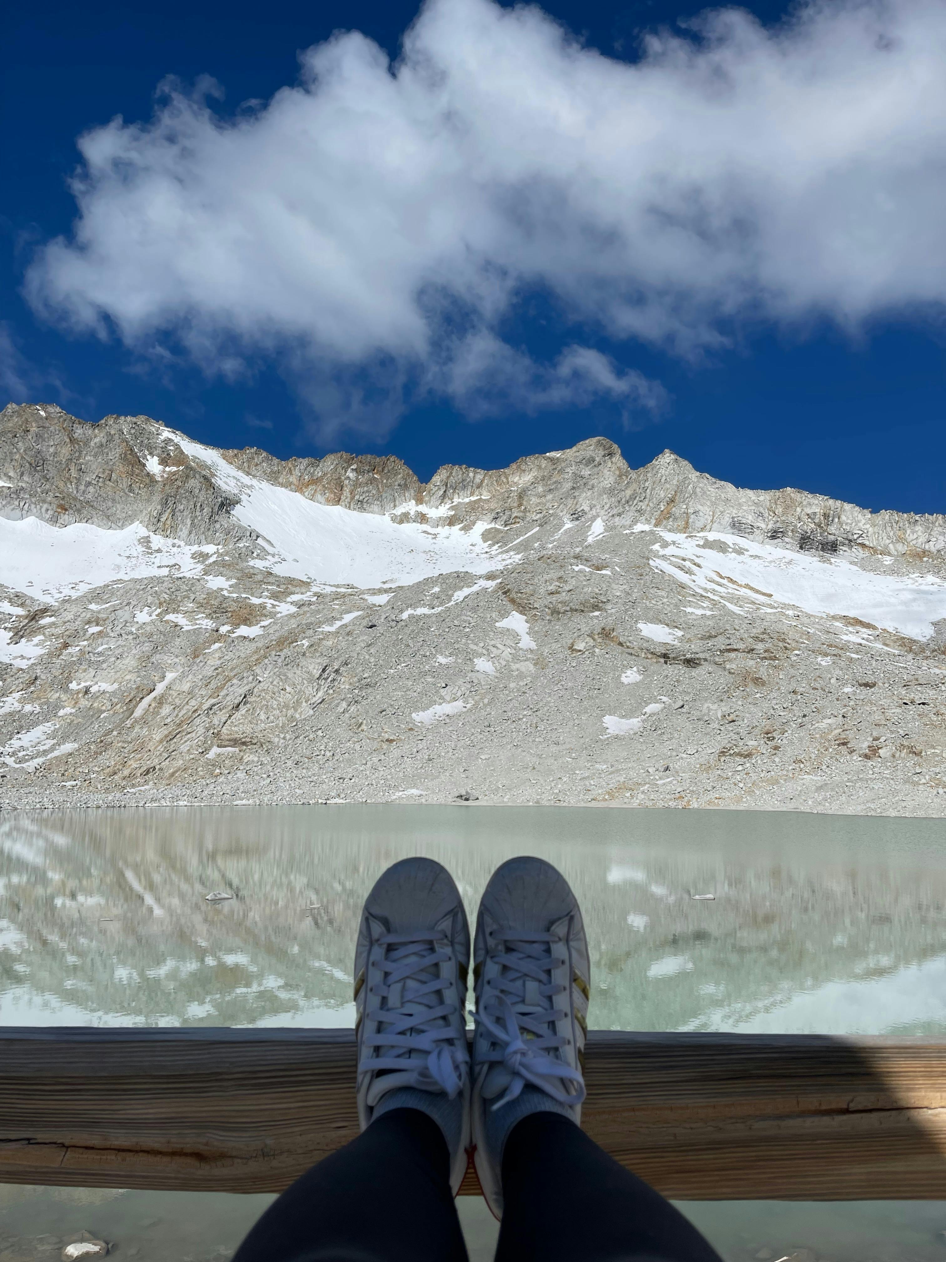 Shrek+Feet Photos, Download The BEST Free Shrek+Feet Stock Photos & HD ...