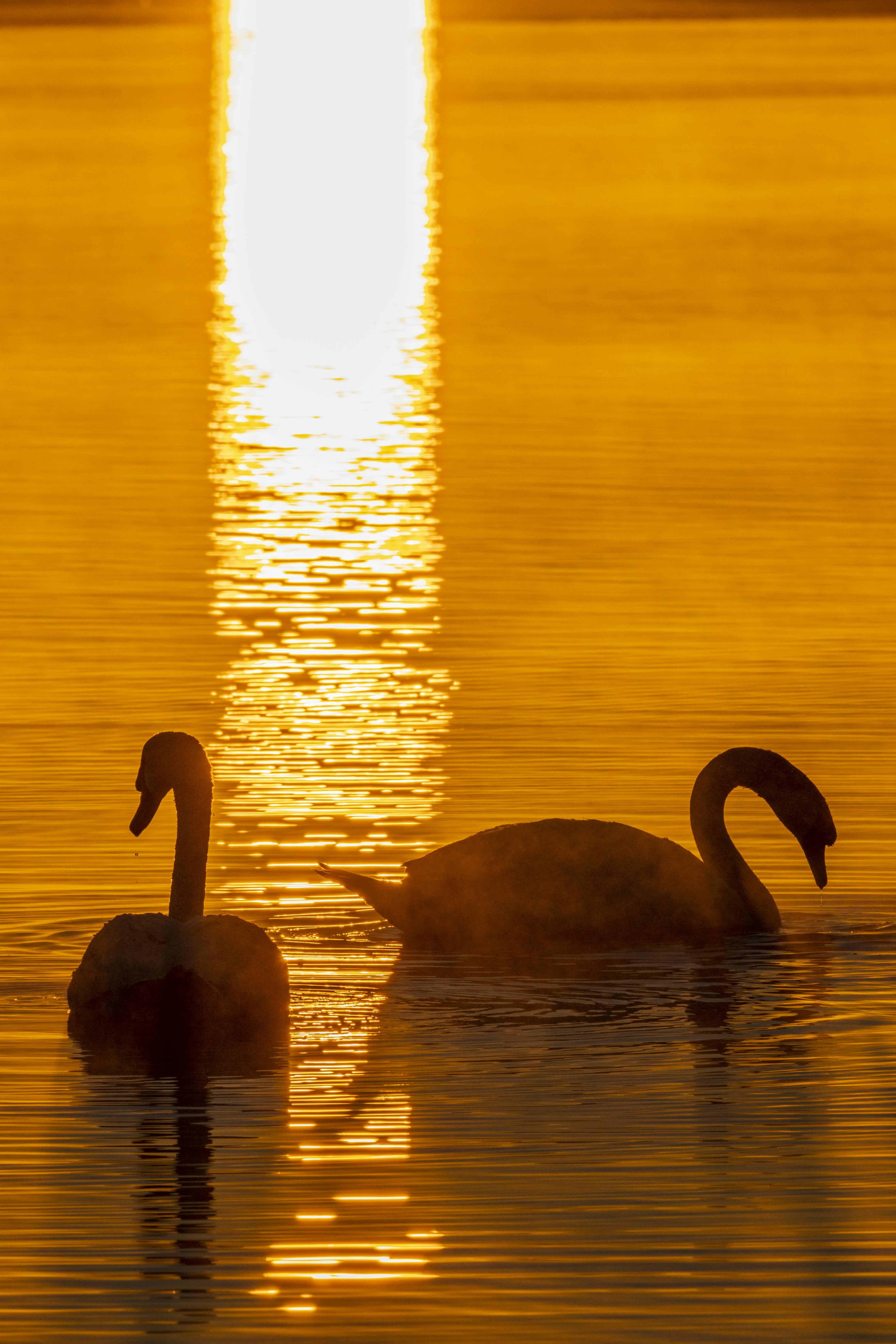 звук+Good+Perfect Photos, Download The BEST Free звук+Good+Perfect ...