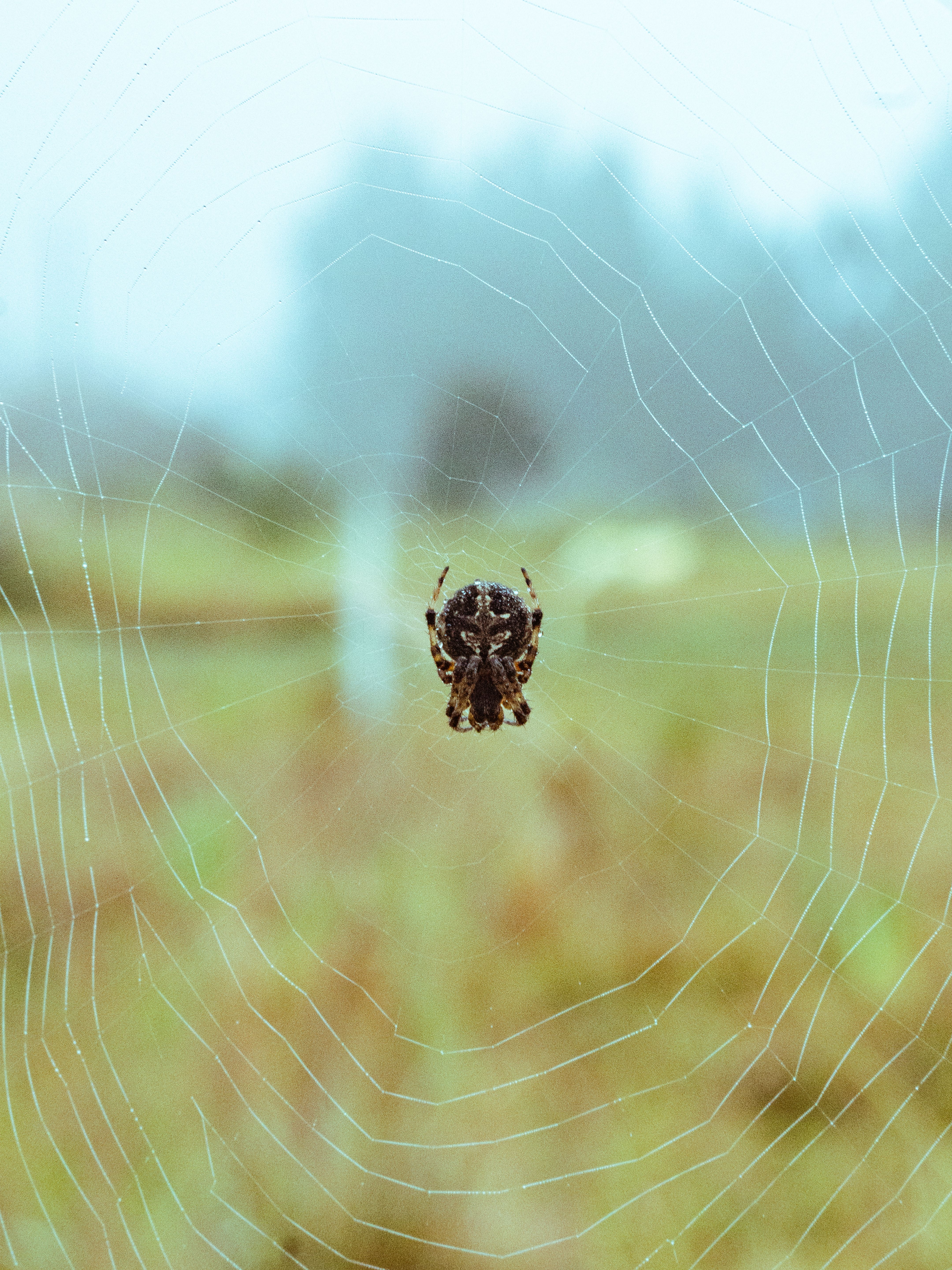 Spinning Photos, Download The BEST Free Spinning Stock Photos & HD Images