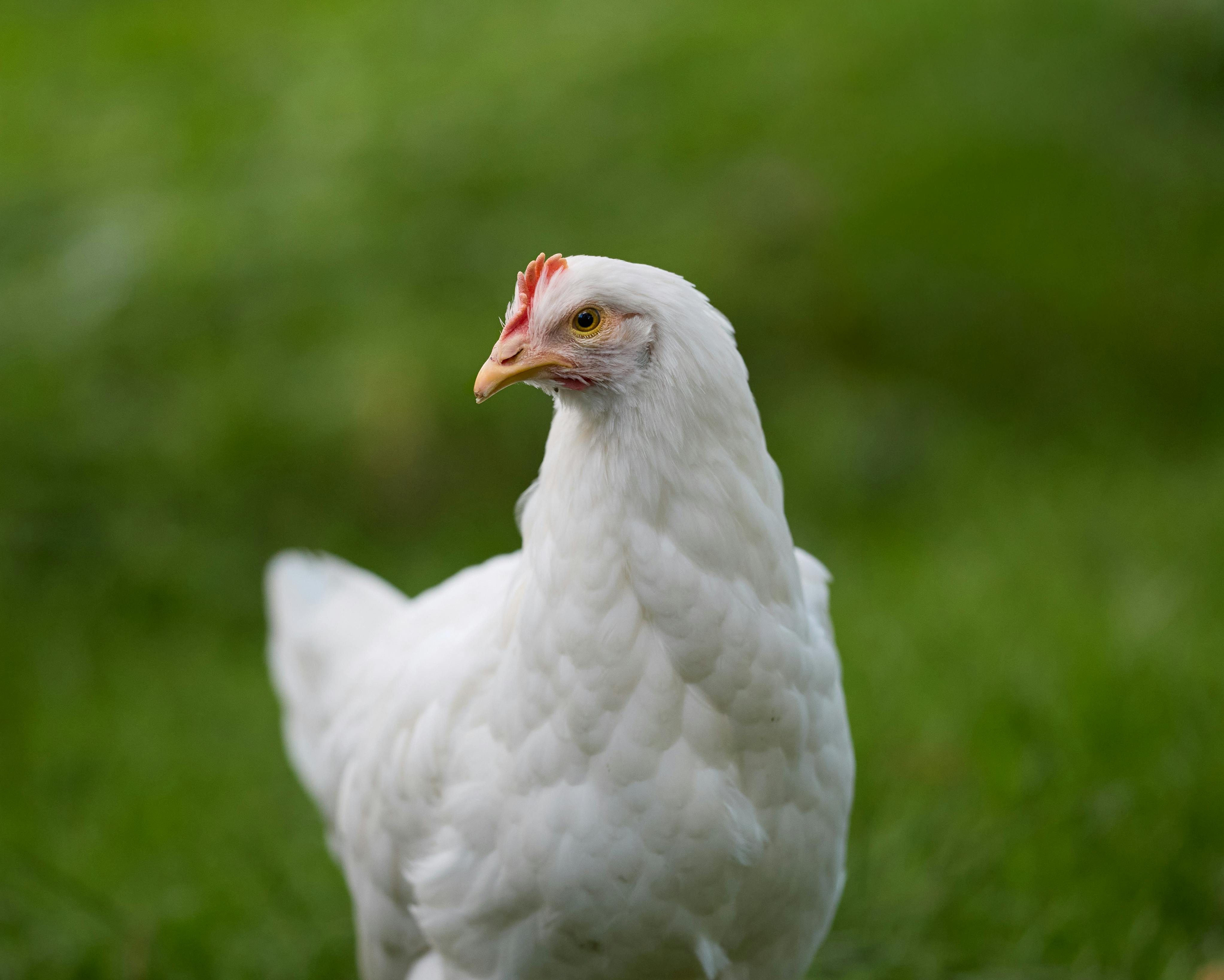 Designer+Free+Clothes Photos, Download The BEST Free Designer+Free ...