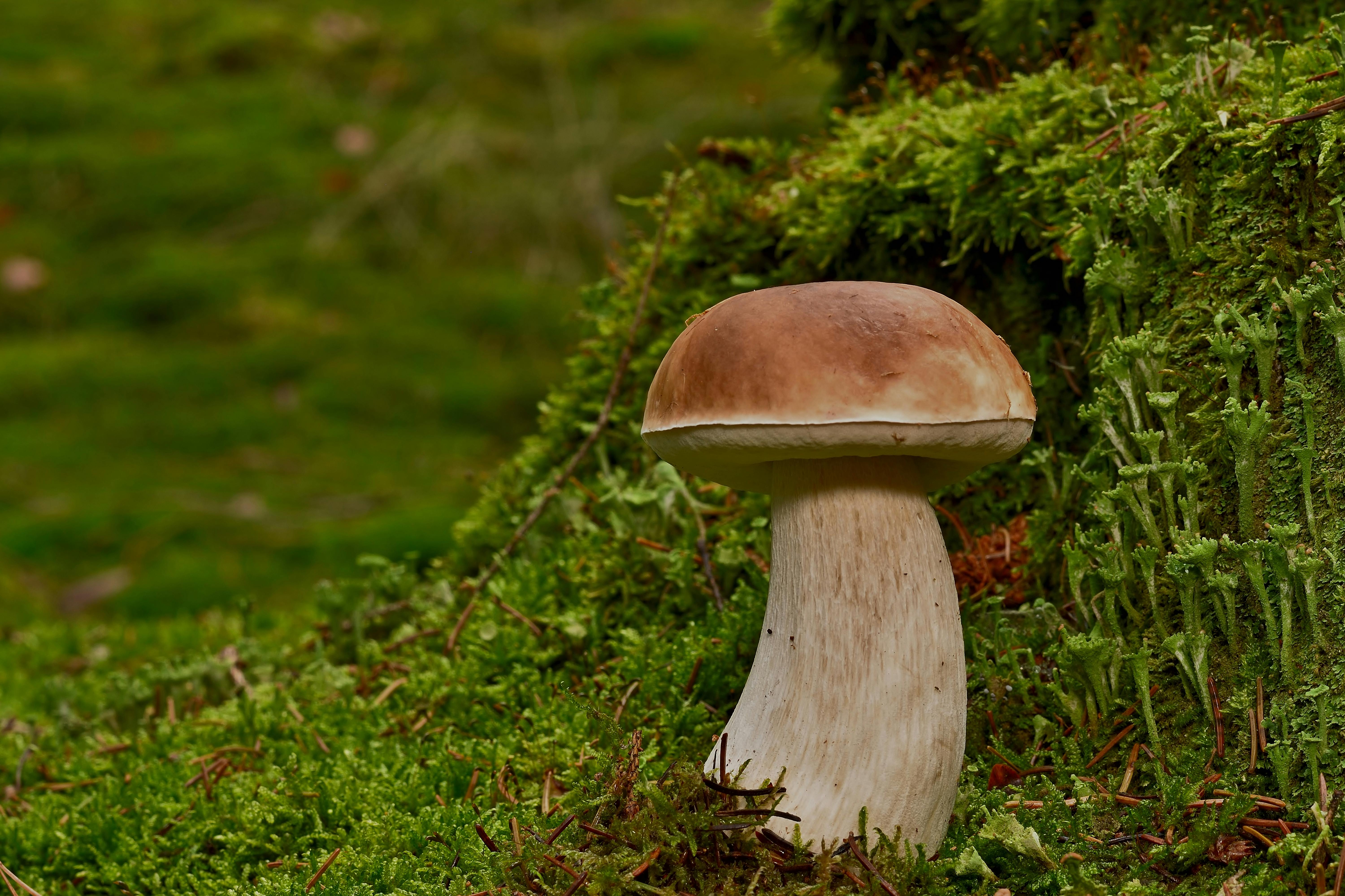 Square Root 123 Photos, Download The BEST Free Square Root 123 Stock ...