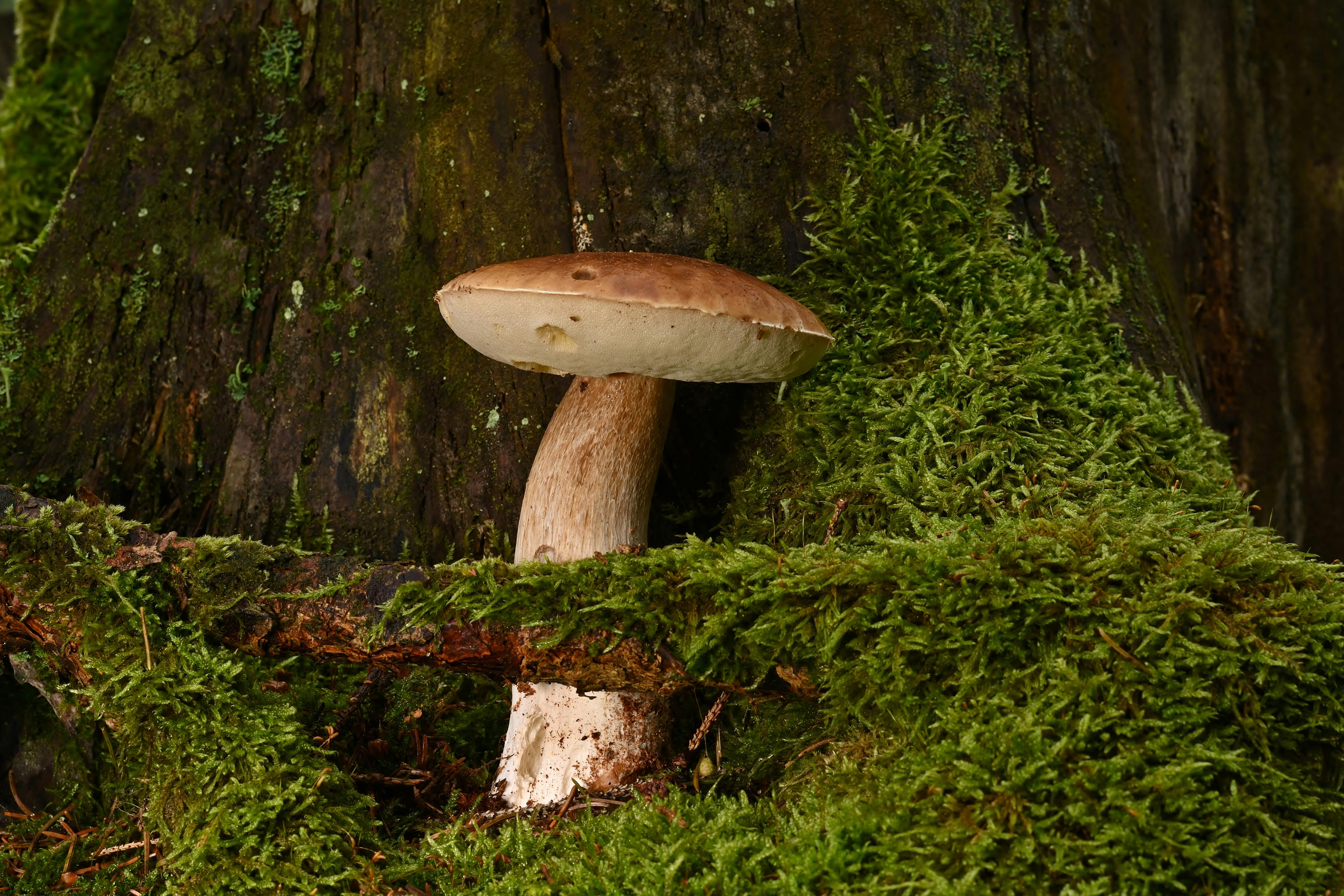 Square Root 123 Photos, Download The BEST Free Square Root 123 Stock ...