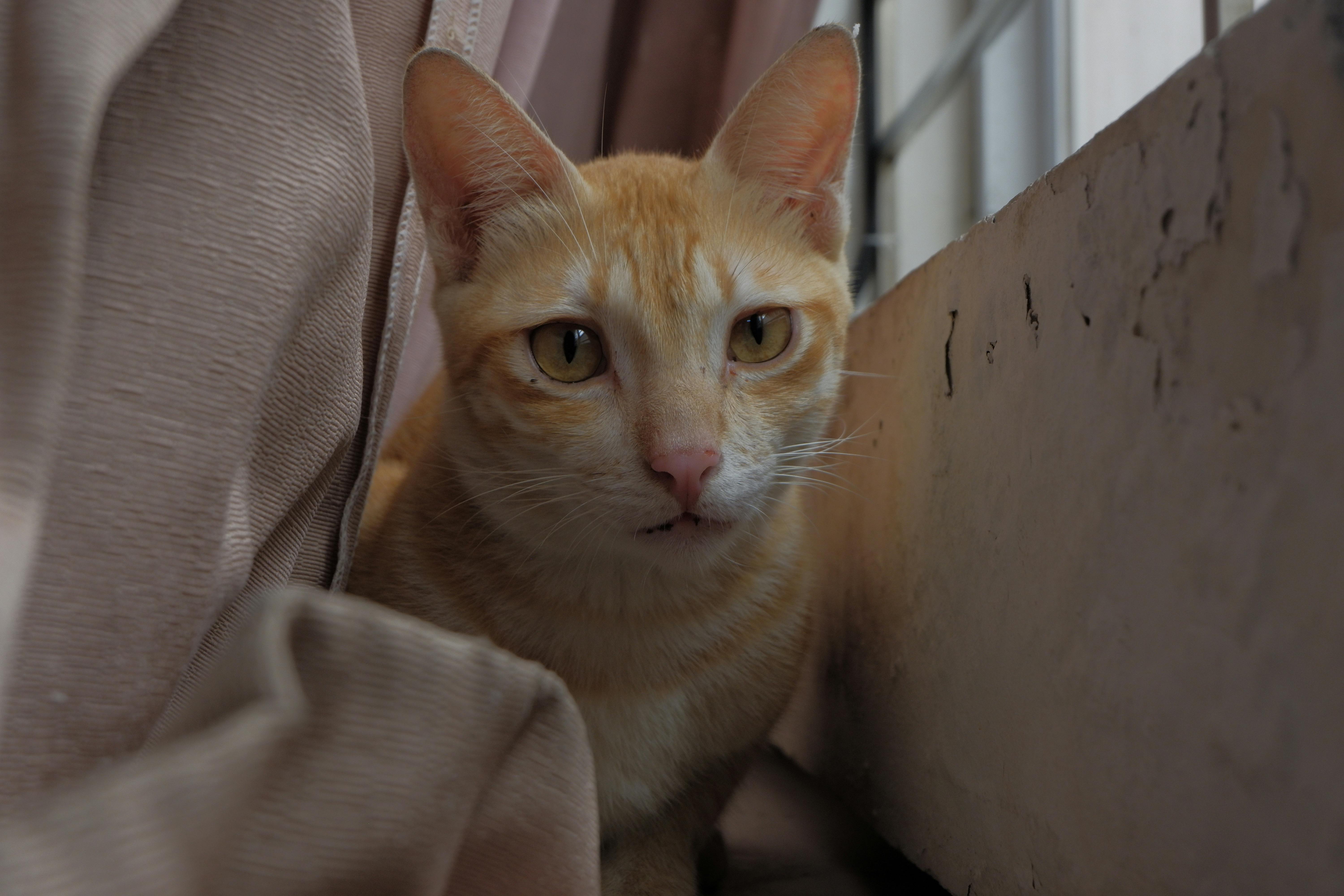 Cute+Imx+Girls Photos, Download The BEST Free Cute+Imx+Girls Stock ...