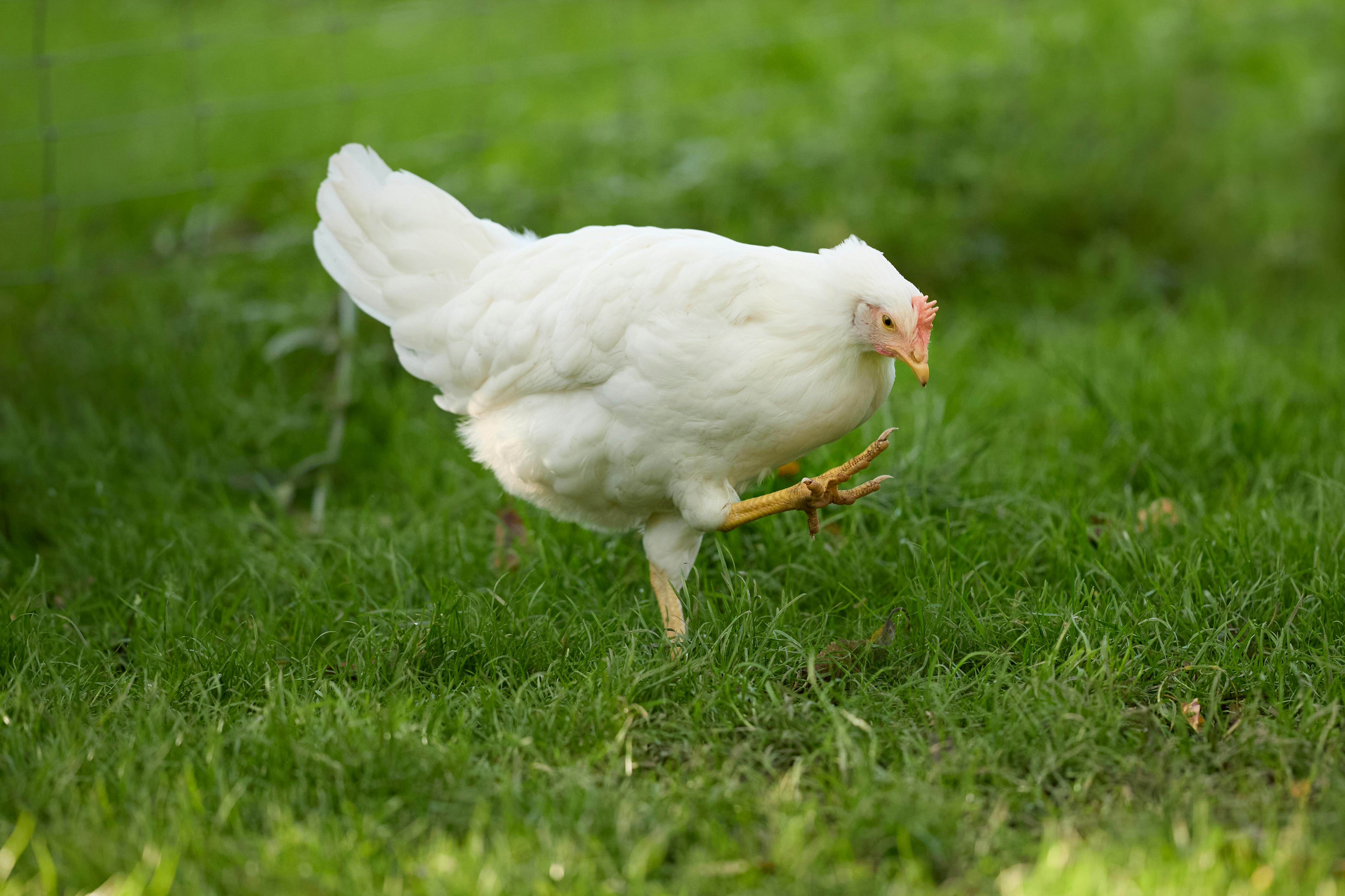 Designer+Free+Clothes Photos, Download The BEST Free Designer+Free ...