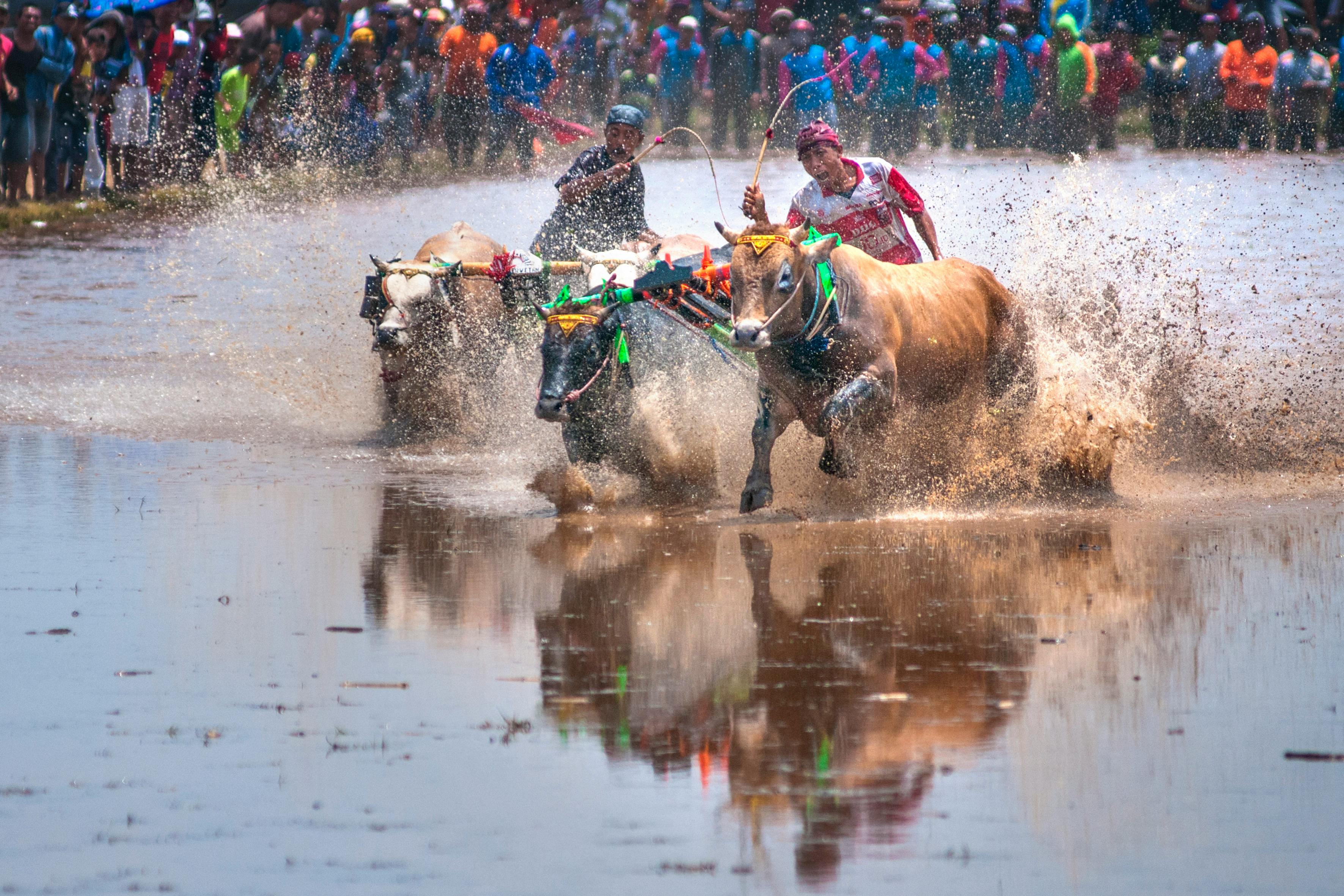 Find+Games+Video Photos, Download The BEST Free Find+Games+Video Stock ...