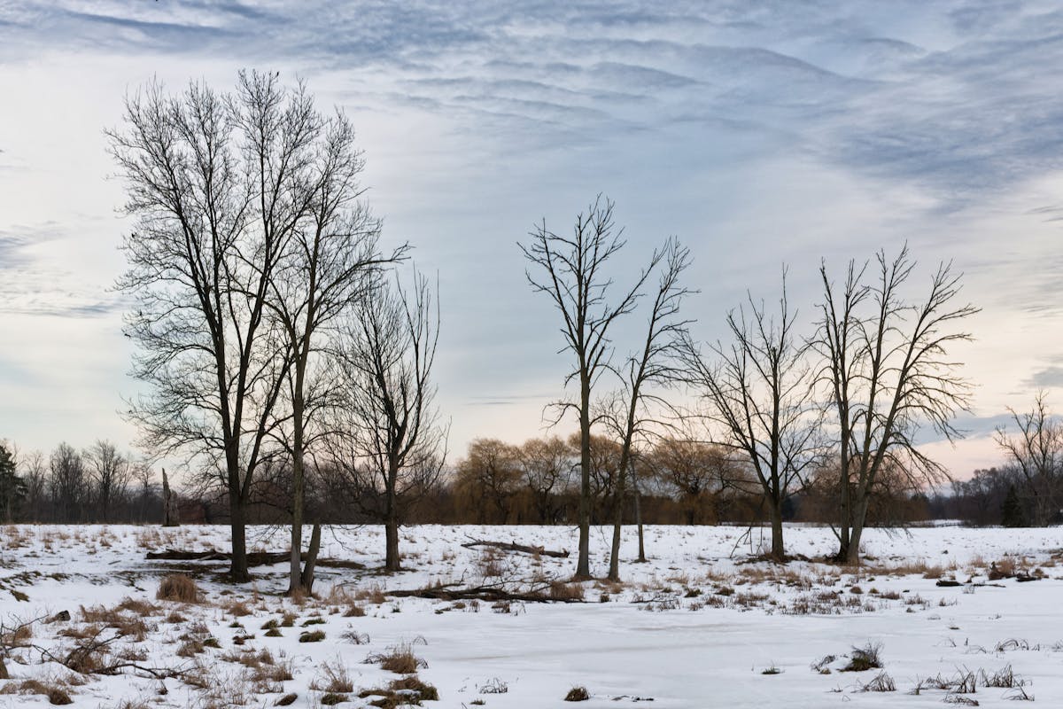 Bare Bosom Photos, Download The BEST Free Bare Bosom Stock Photos & HD ...