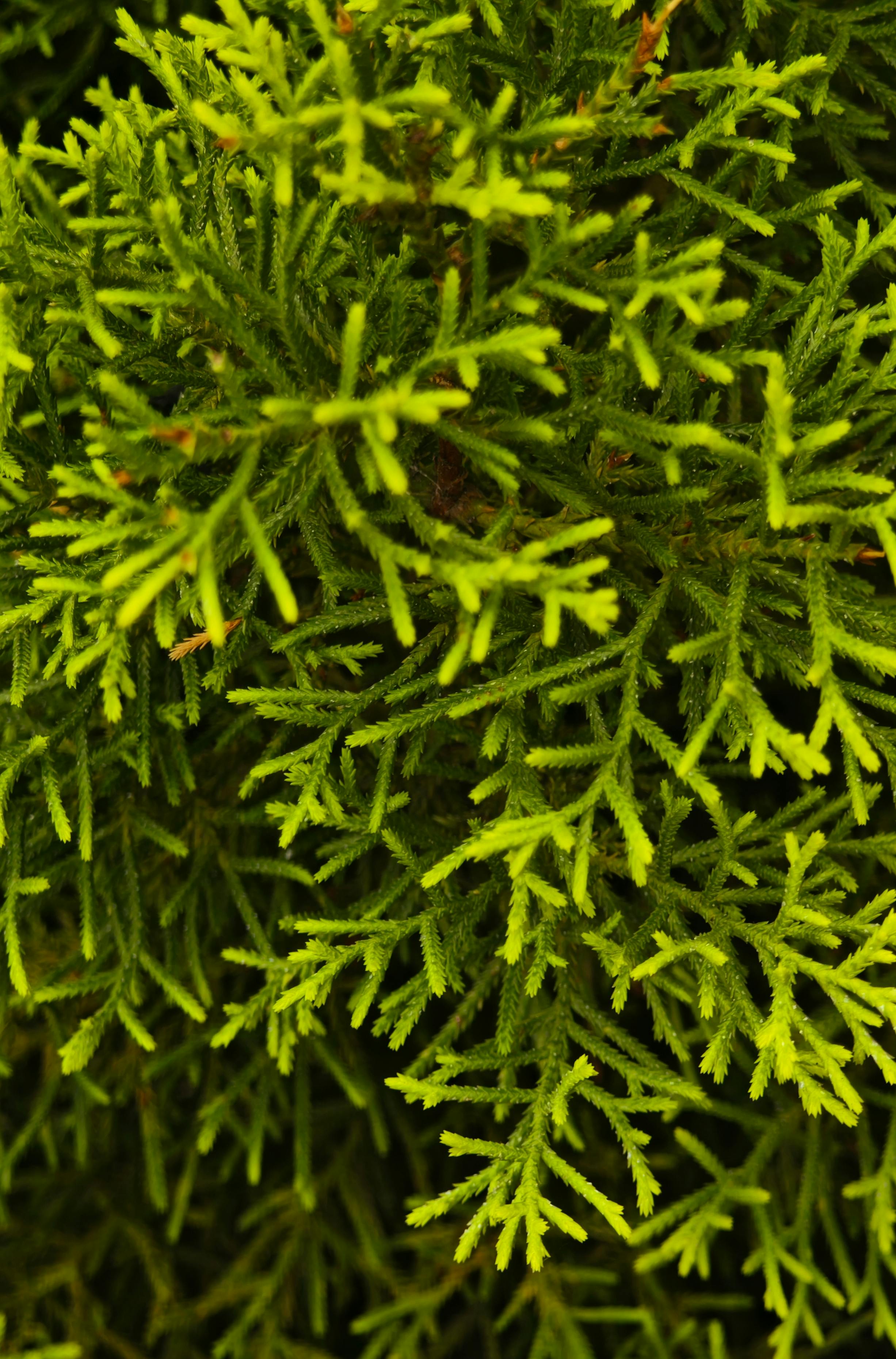 Leaking+Out+Of+Fewr Photos, Download The BEST Free Leaking+Out+Of+Fewr ...