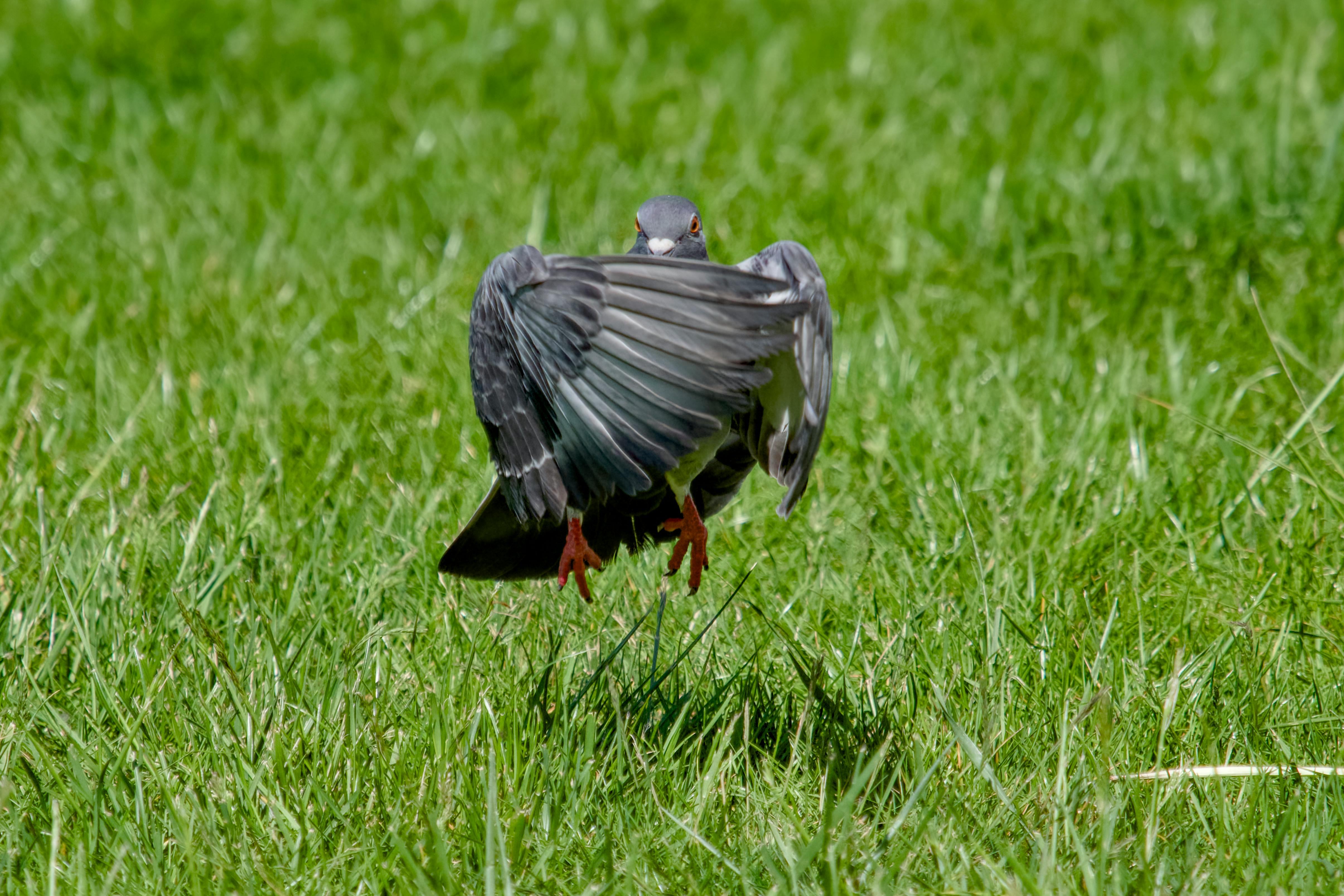 Free+Pinterest+Books Photos, Download The BEST Free Free+Pinterest ...