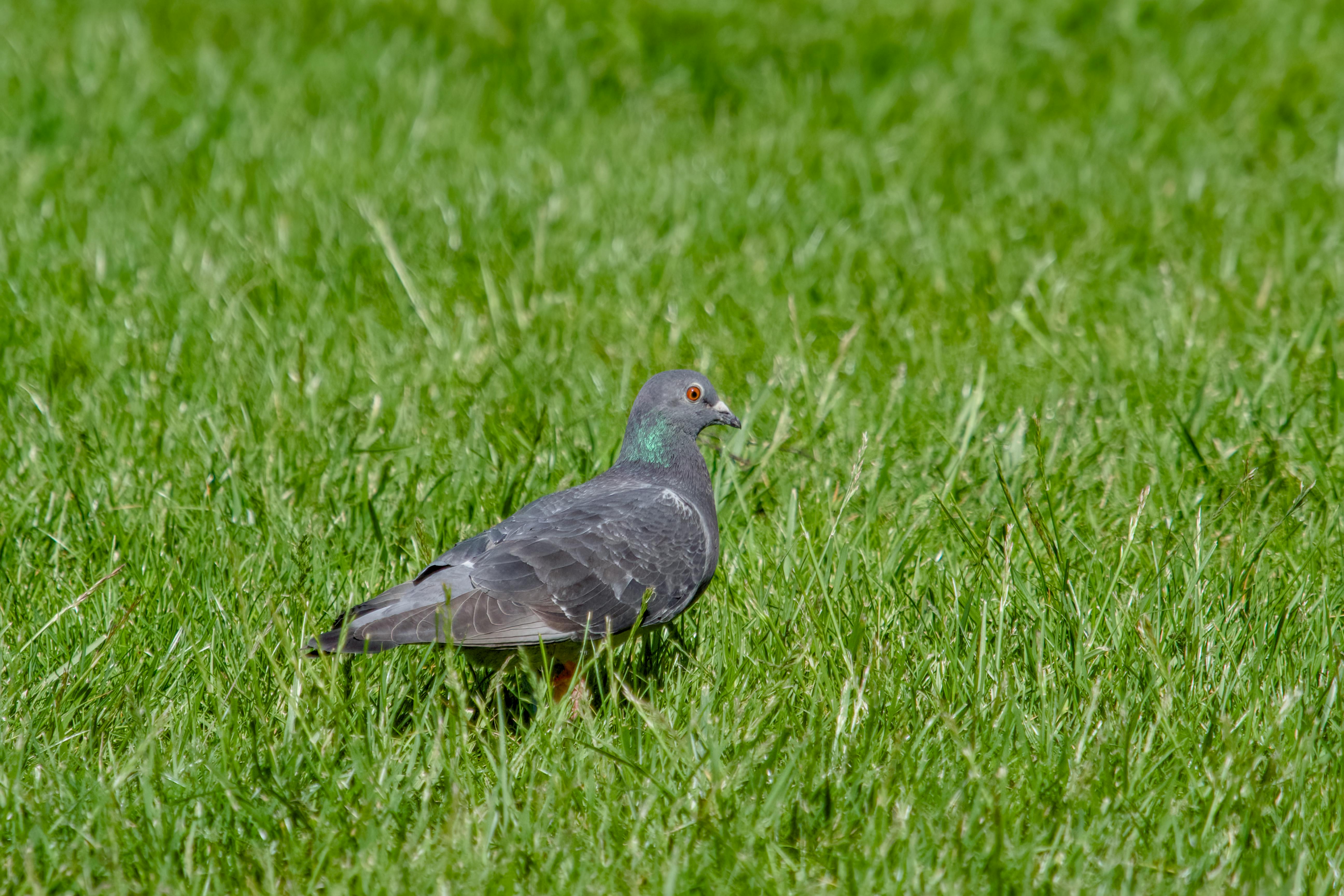 Free+Pinterest+Books Photos, Download The BEST Free Free+Pinterest ...