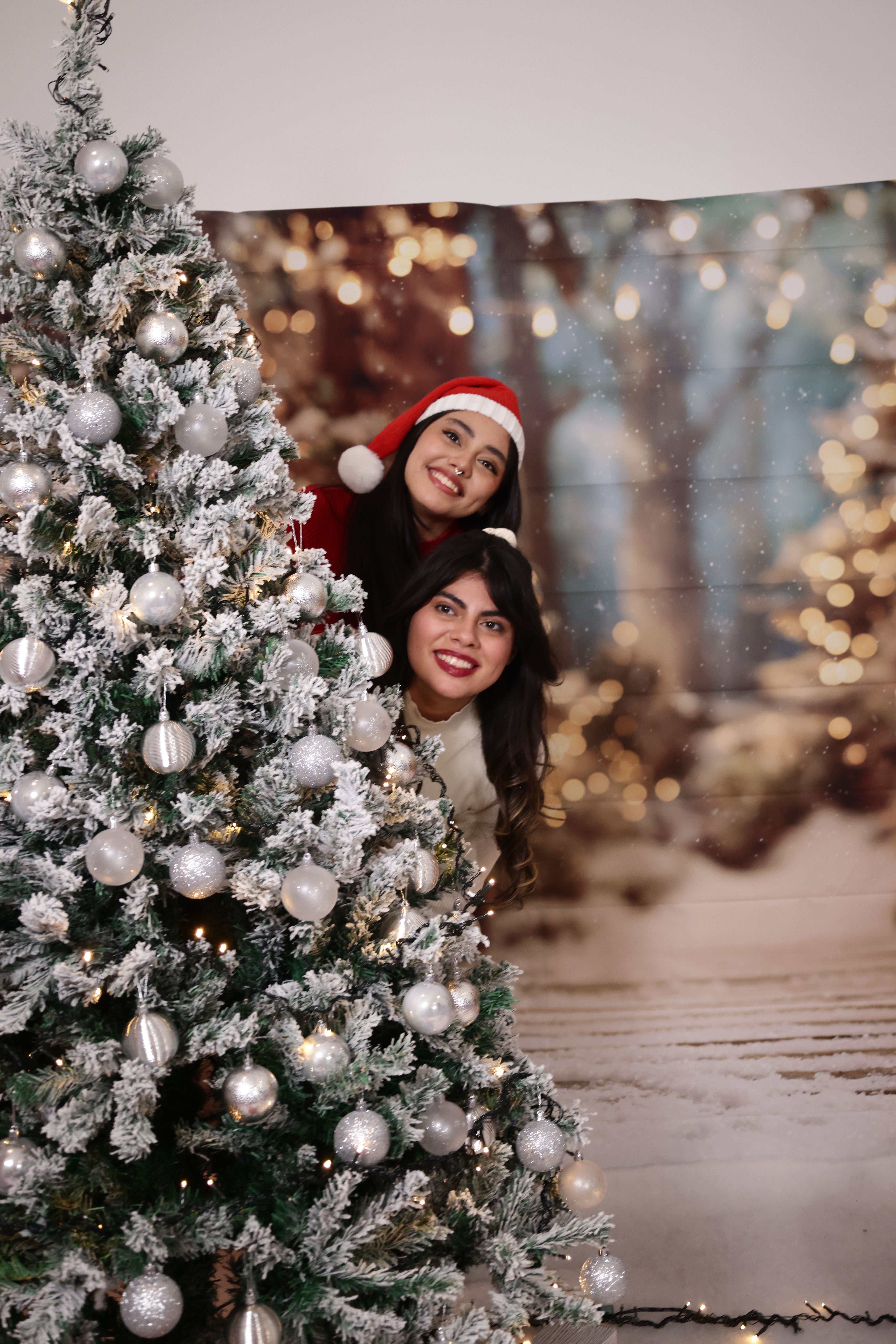 Tinsel Photos, Download The BEST Free Tinsel Stock Photos & HD Images
