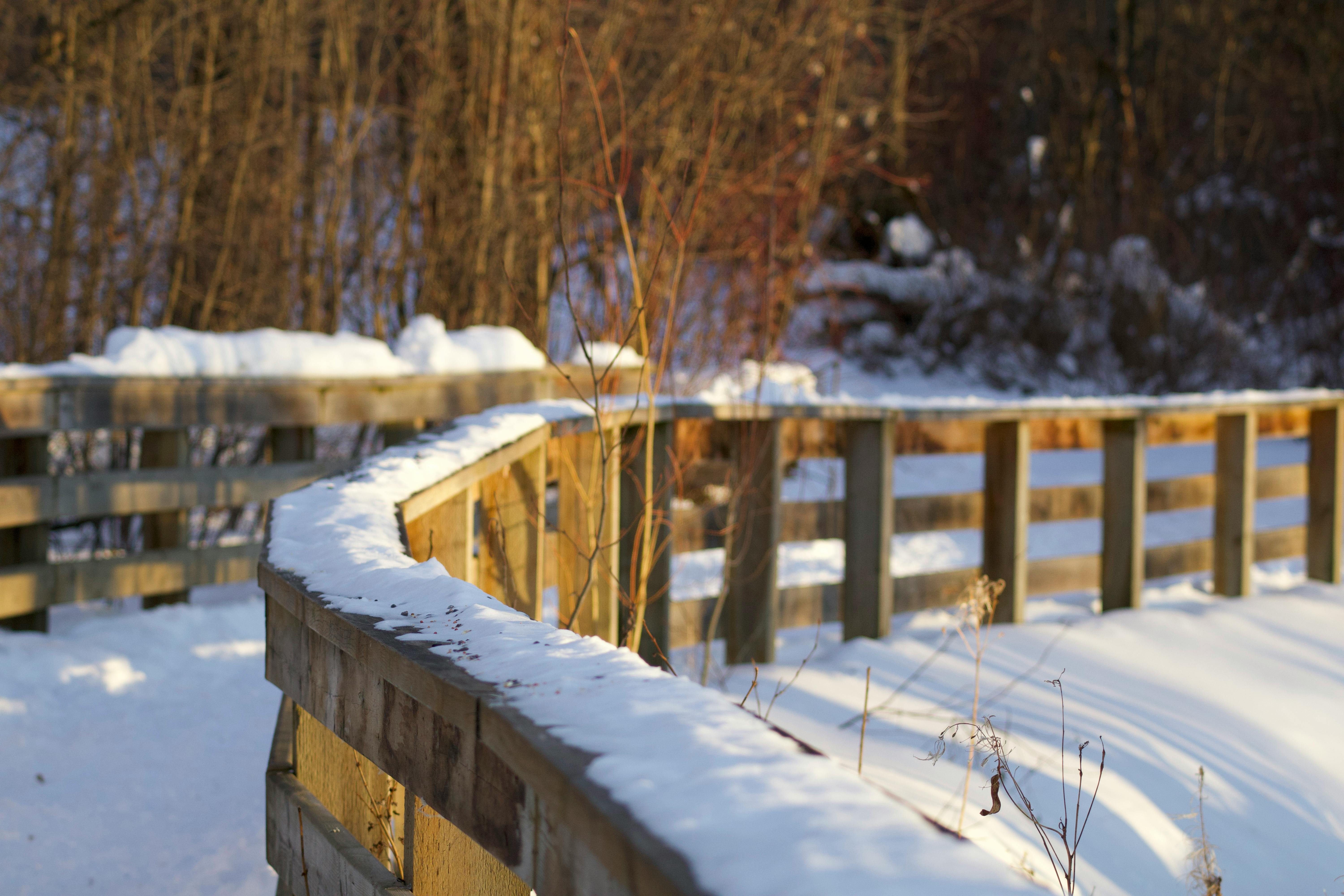 Canada Snow Hd Photos, Download The BEST Free Canada Snow Hd Stock ...