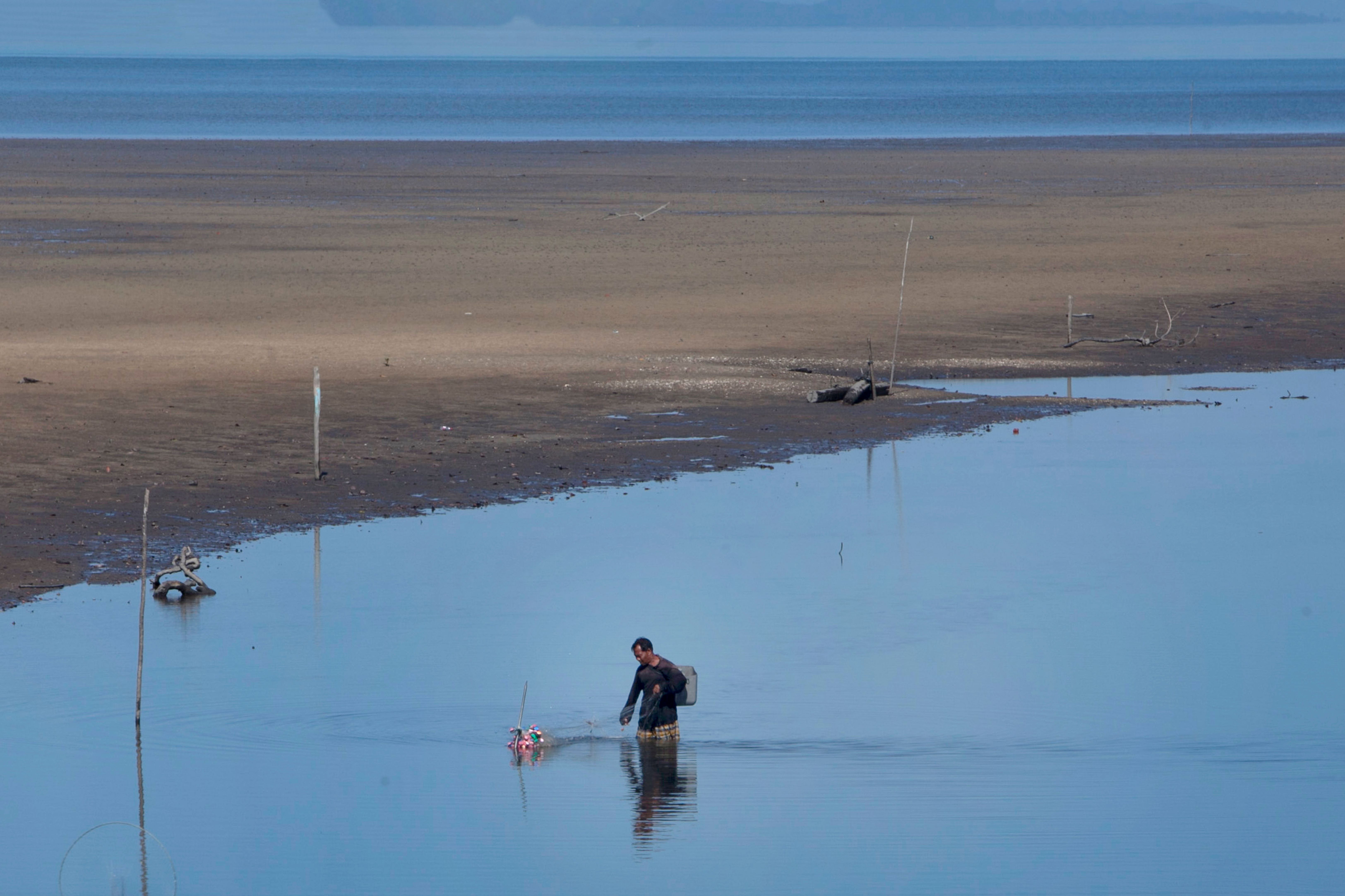 Man wading through coastal water against serene backdrop · Free Stock Photo