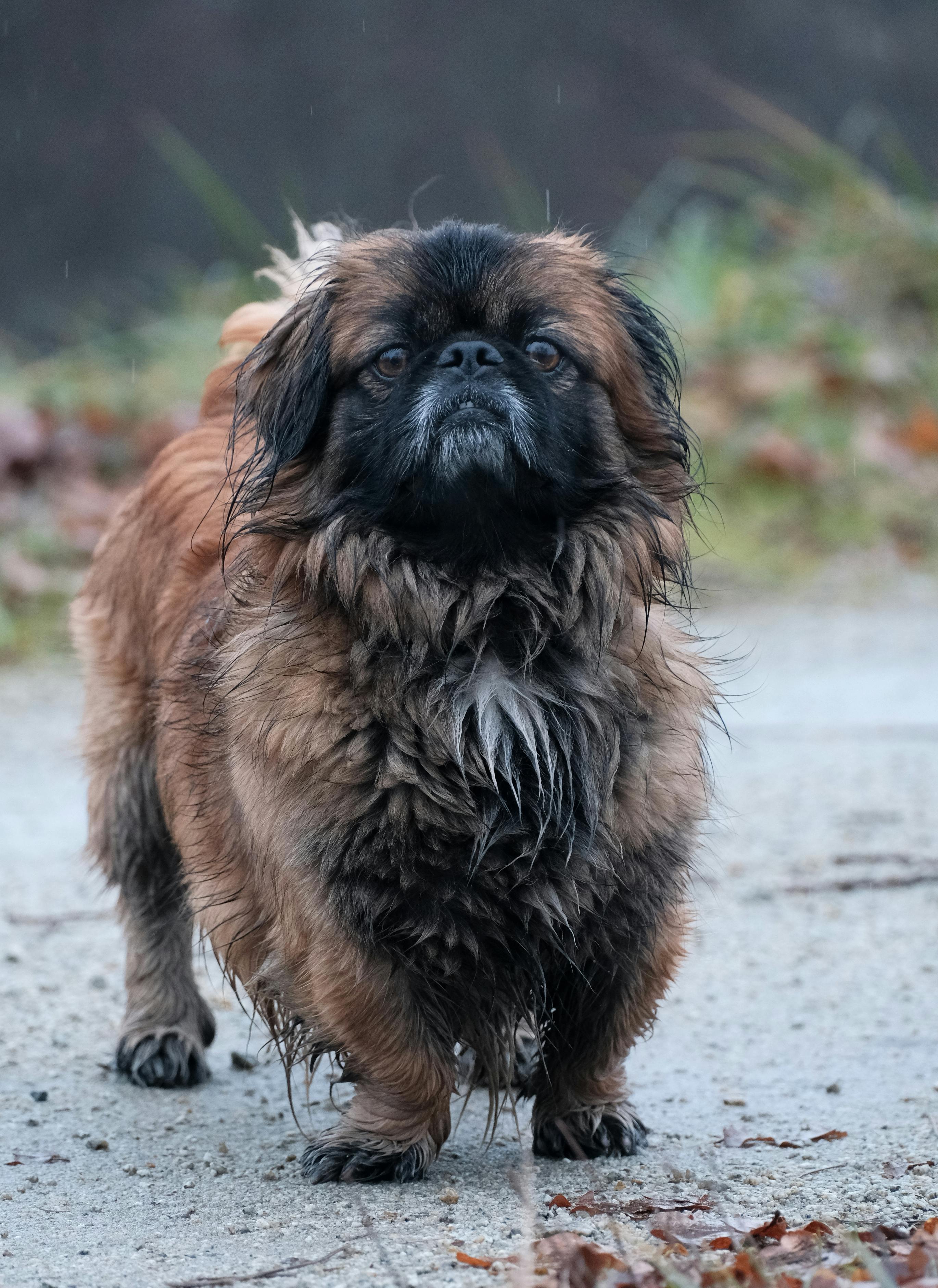 Leaking+Out+Of+Fewr Photos, Download The BEST Free Leaking+Out+Of+Fewr ...