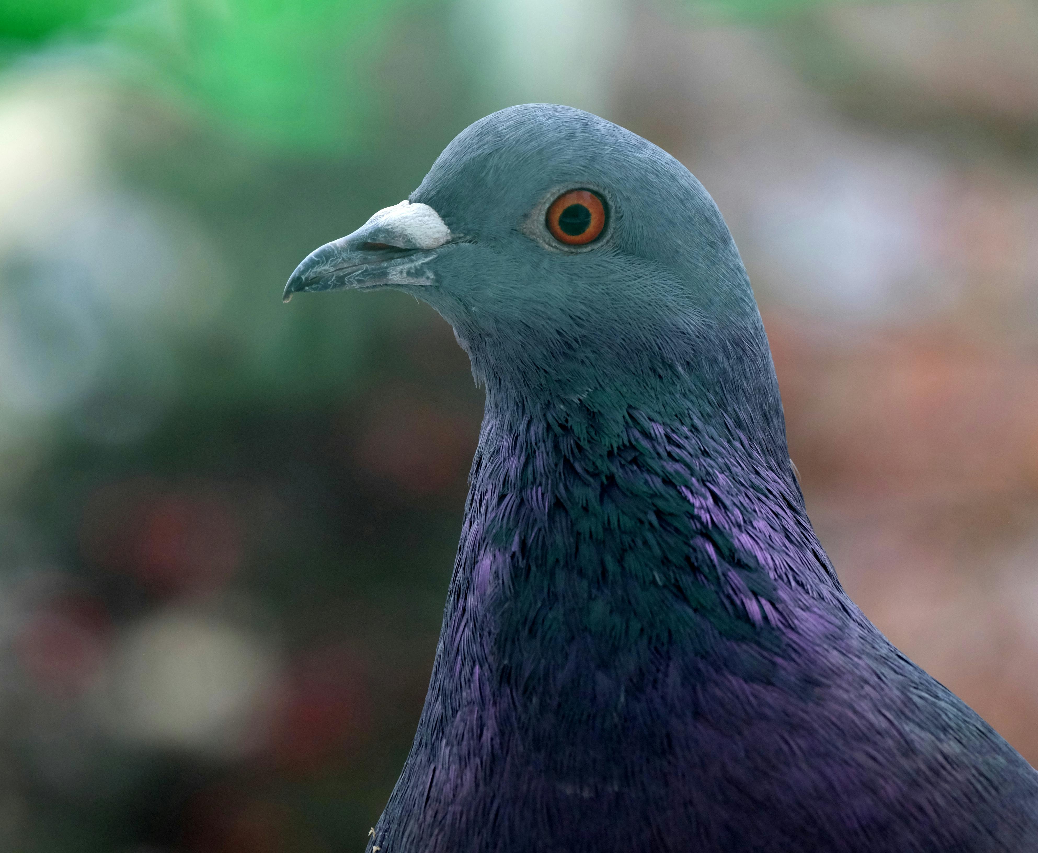 Website+For+Photographer Photos, Download The BEST Free Website+For ...