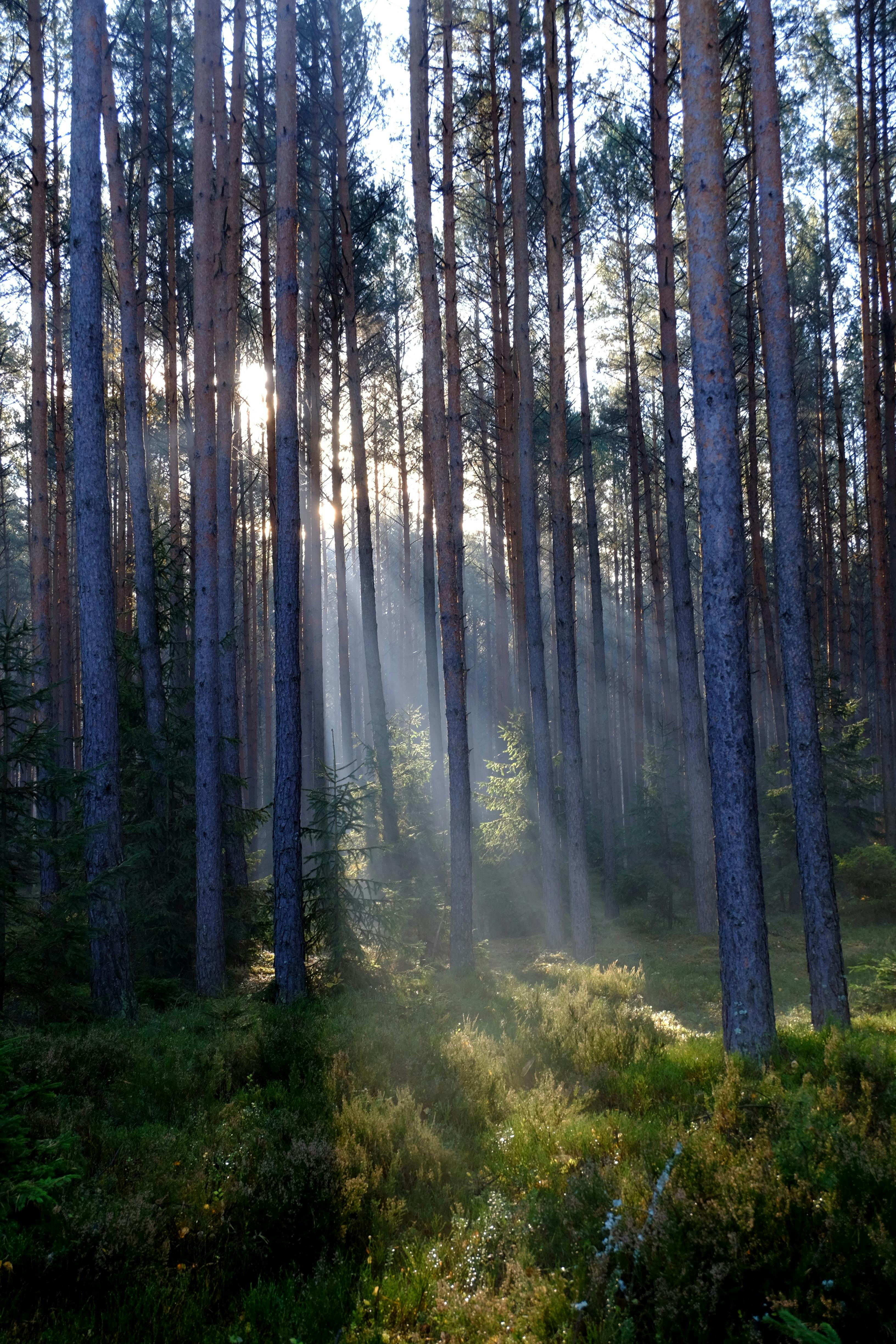 Epoxy+Stream+Floor Photos, Download The BEST Free Epoxy+Stream+Floor ...