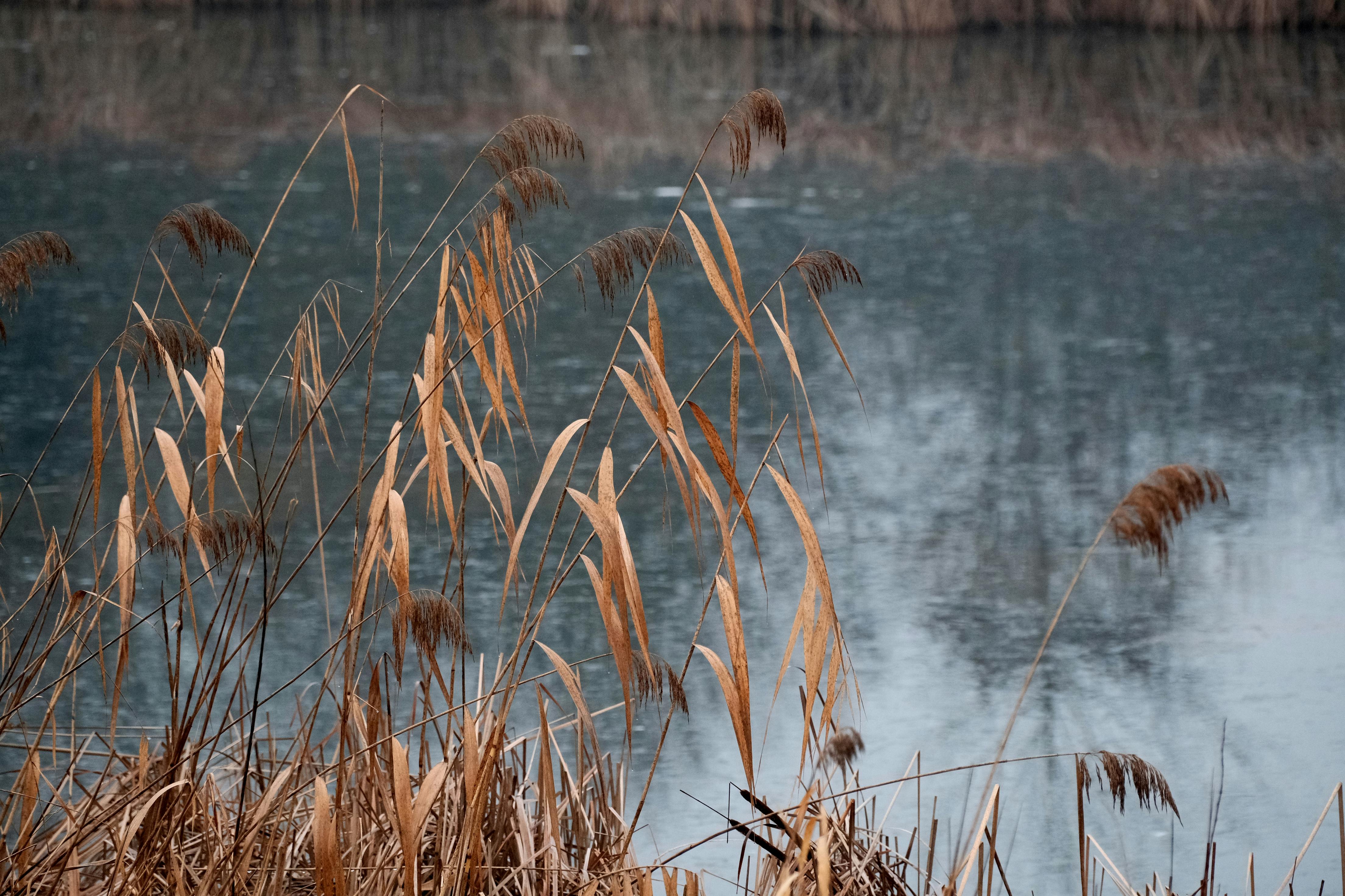 Ice Ilustrasi Photos, Download The BEST Free Ice Ilustrasi Stock Photos ...