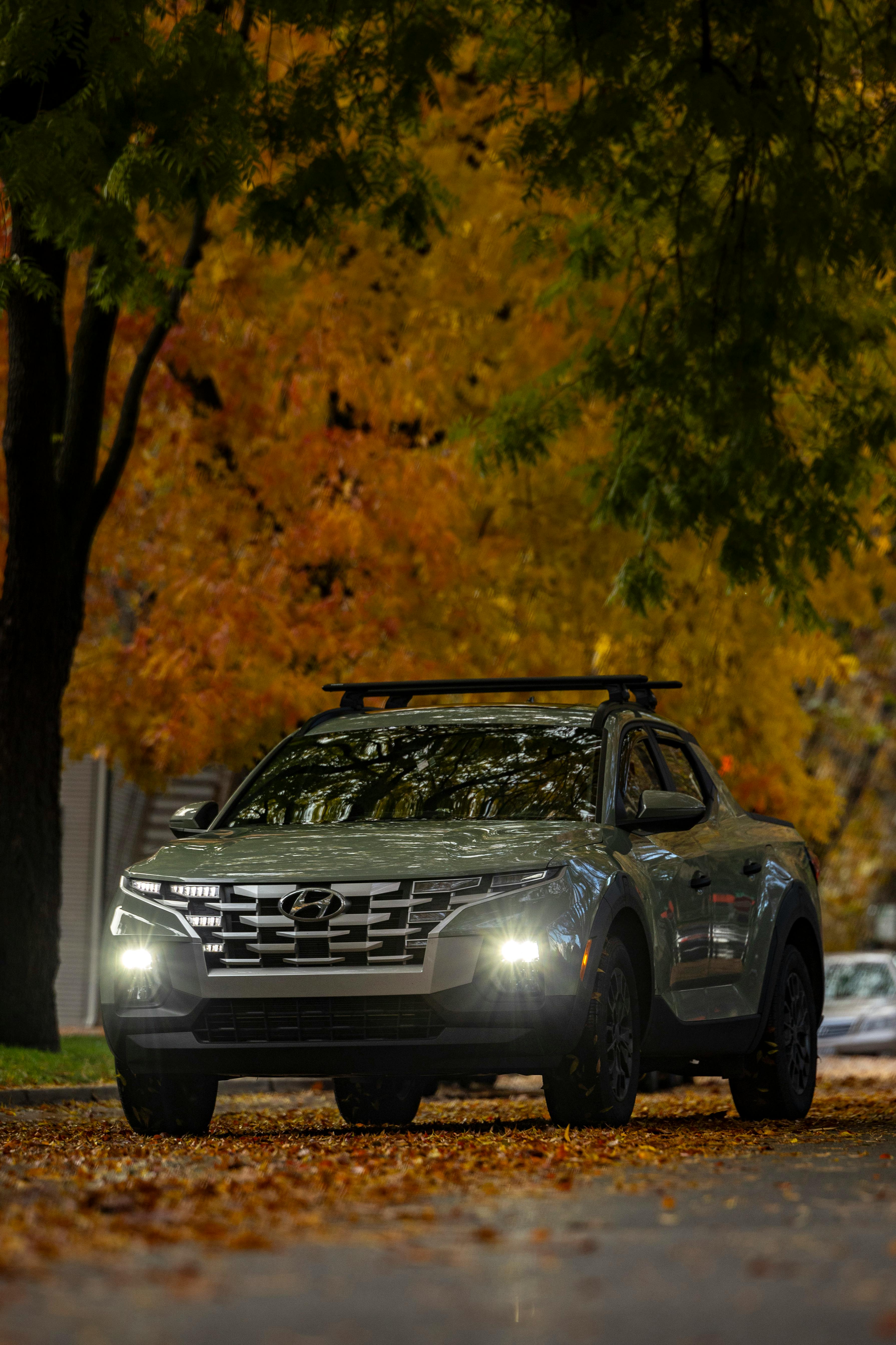 Xe Bán Tải Màu Bạc Trên Con đường Phủ đầy Lá Vào Mùa Thu · Ảnh có sẵn ...