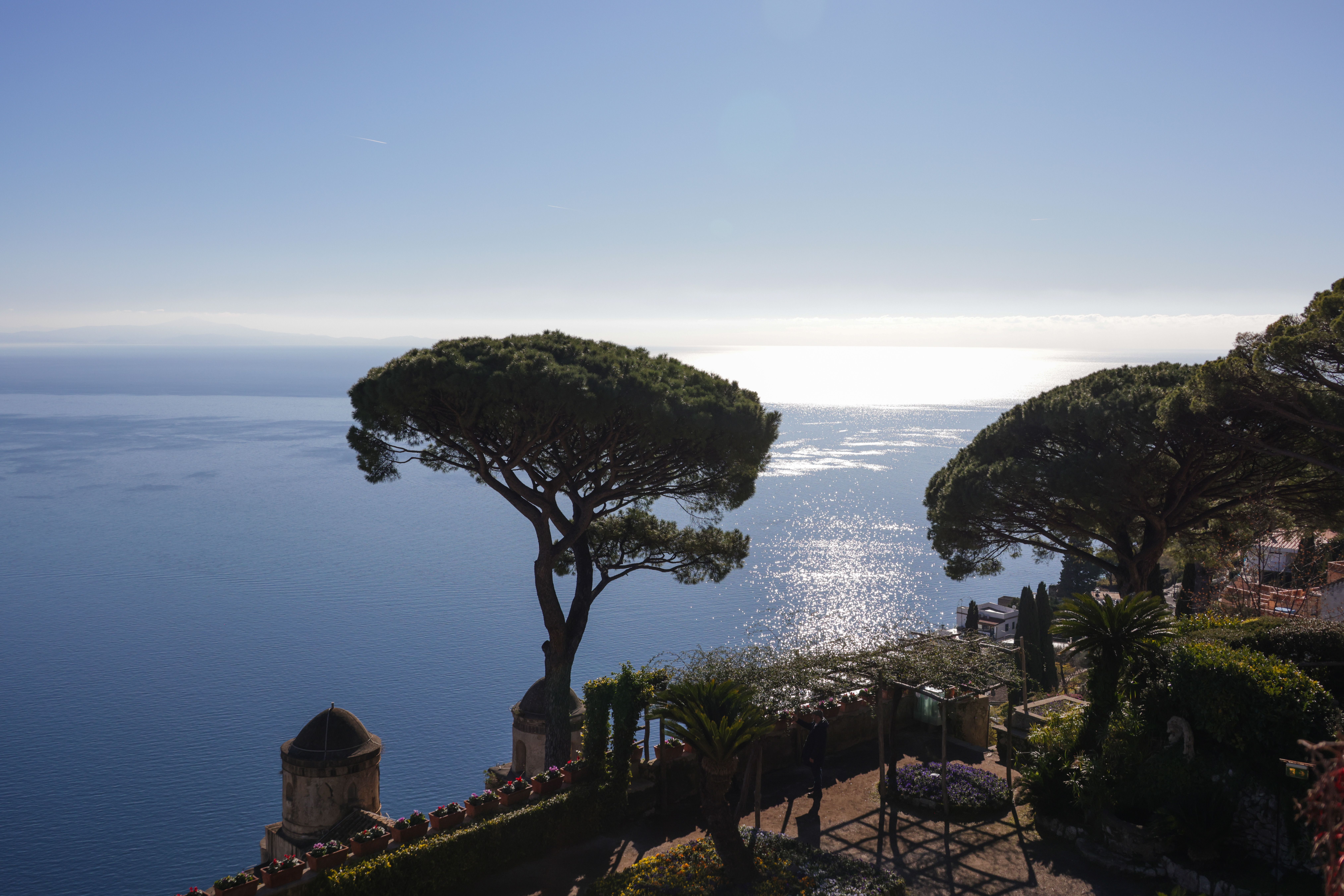 Scenic Amalfi Coastline View with Pine Trees · Free Stock Photo