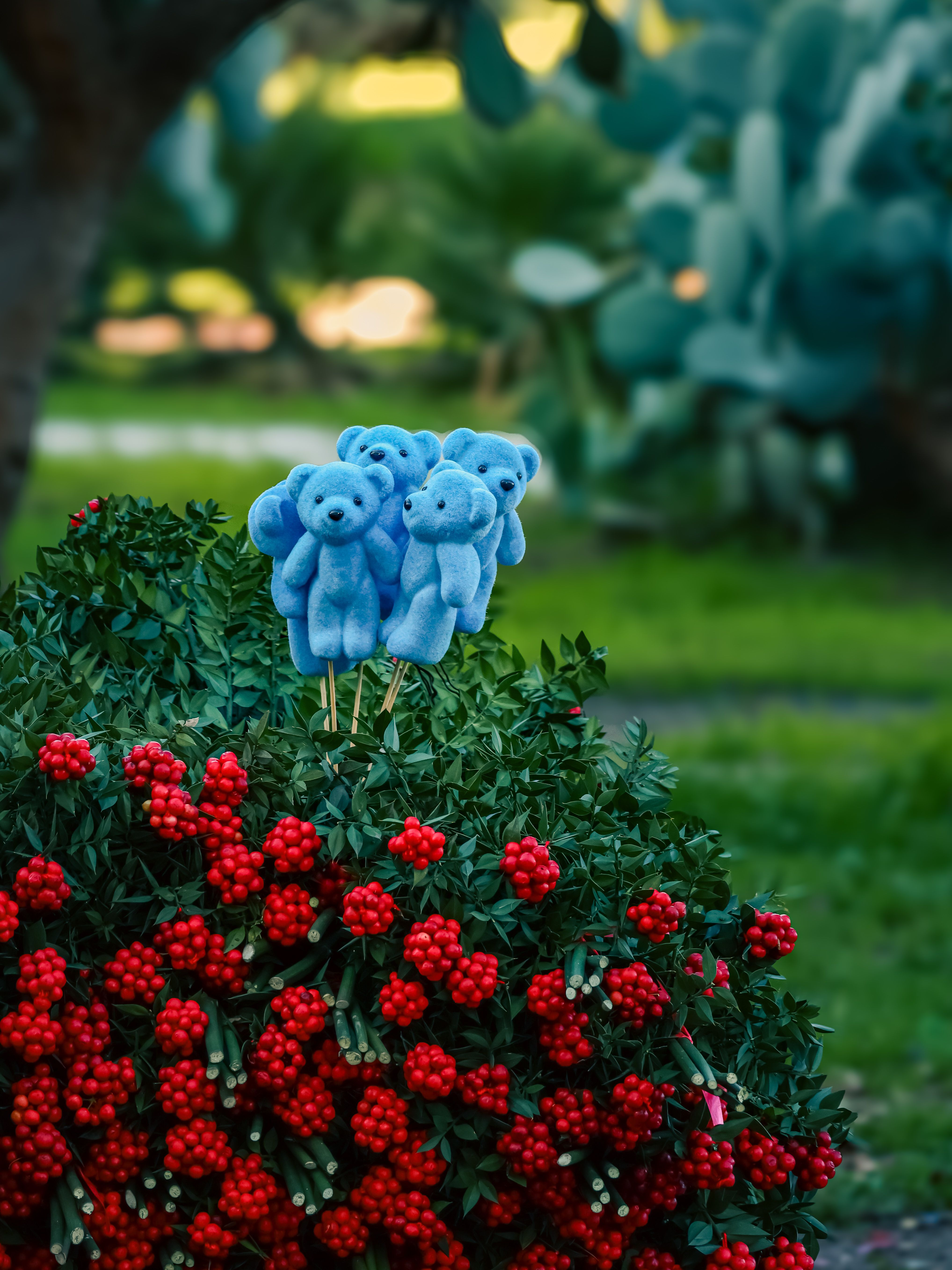 Blue Teddy Bears in Vibrant Green Garden Setting · Free Stock Photo