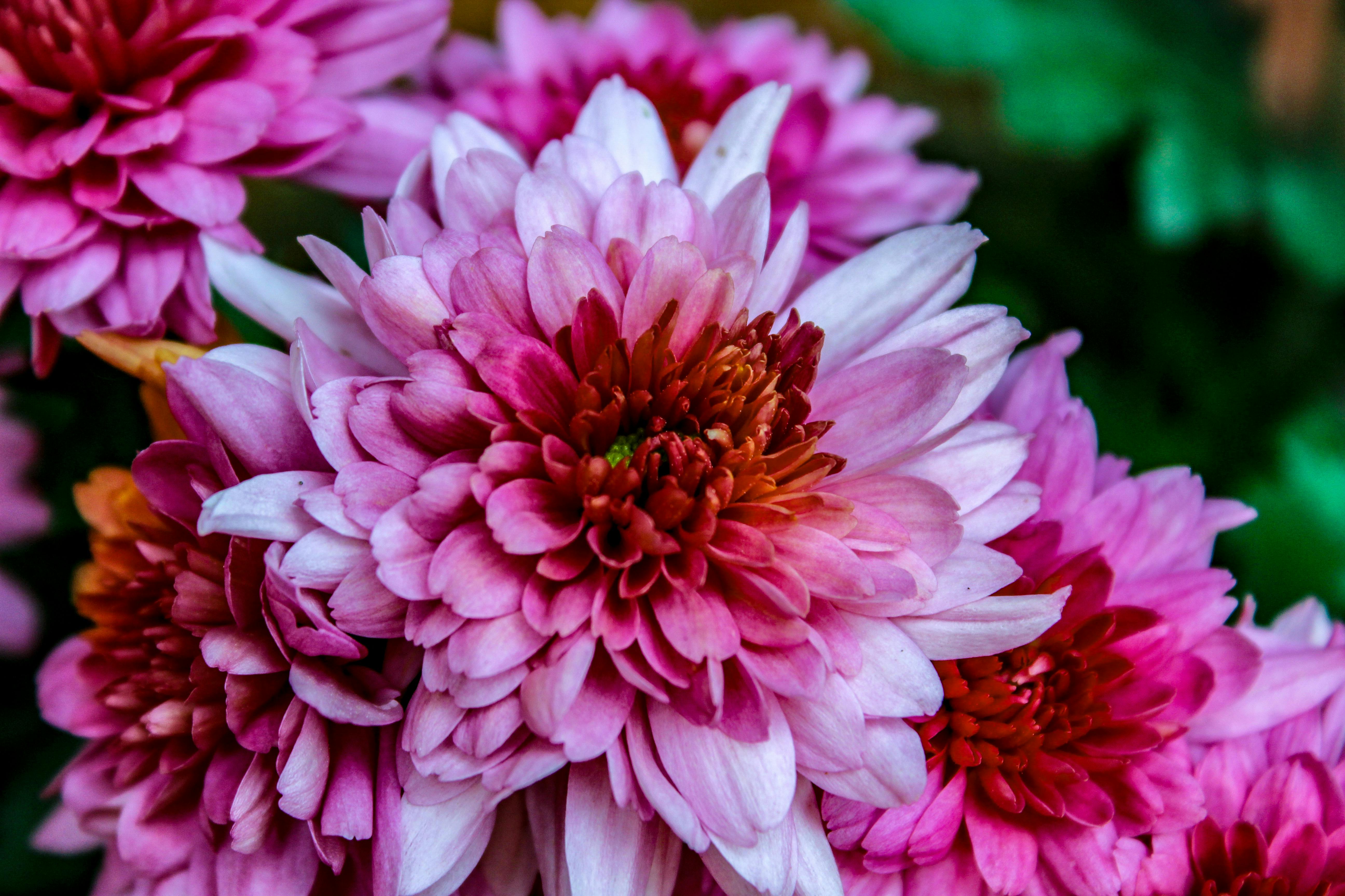 Full+Frontal+Vigina Photos, Download The BEST Free Full+Frontal+Vigina ...