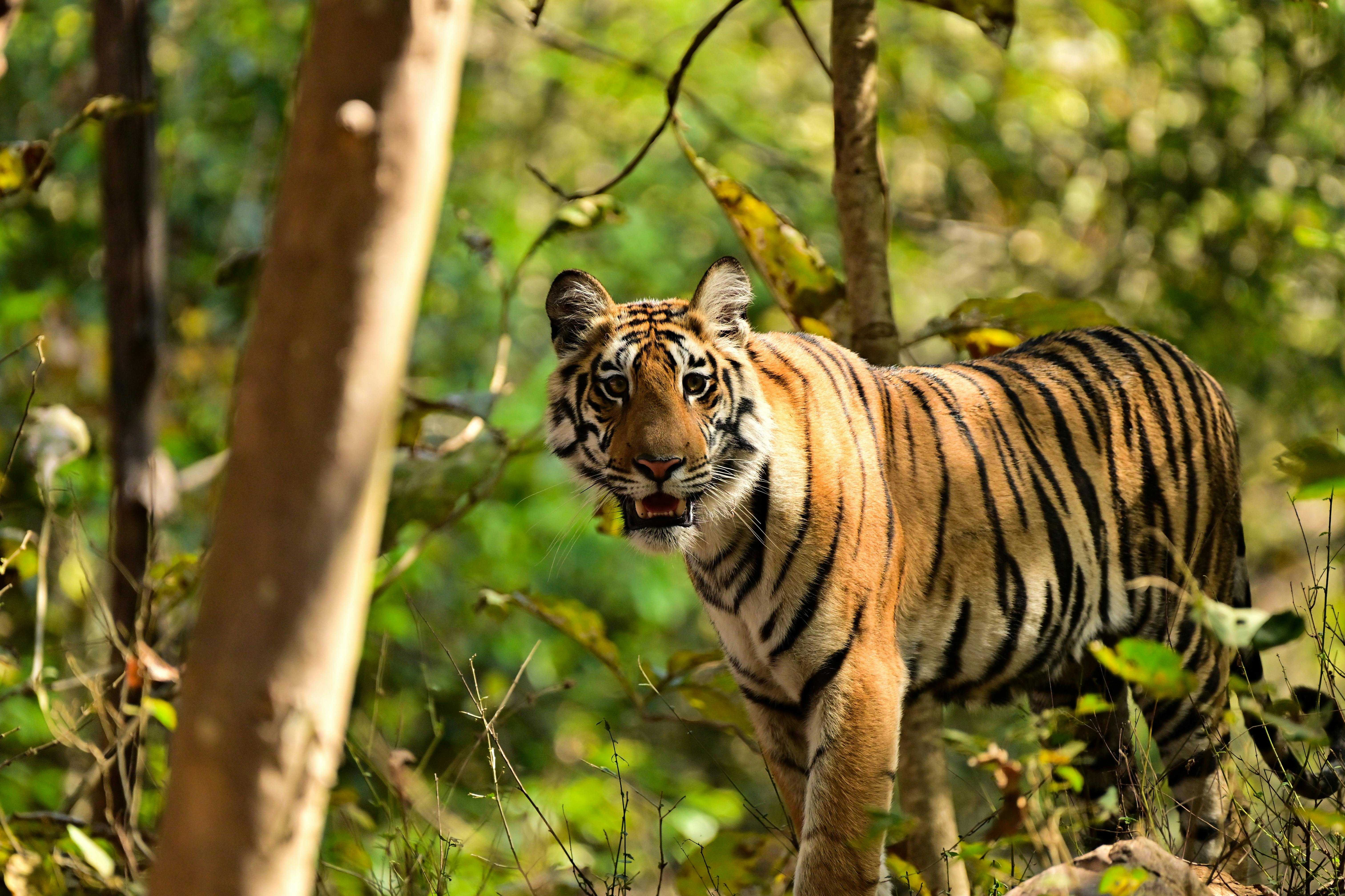 Tight+Nike+Pros+On+Big+Ass Photos, Download The BEST Free Tight+Nike+Pros+On+Big+Ass Stock ...