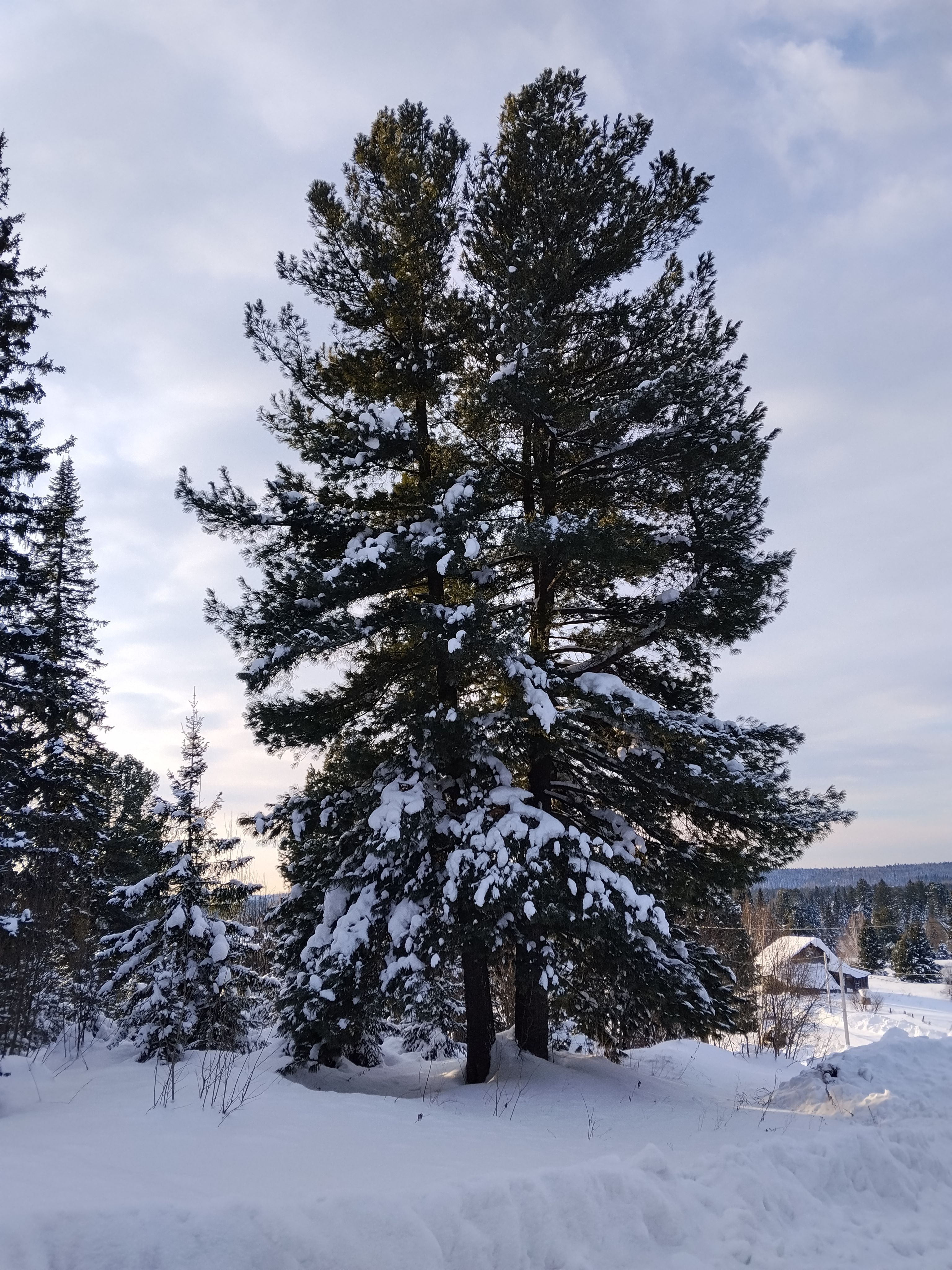 Horizontal Landscape Photos, Download The BEST Free Horizontal ...