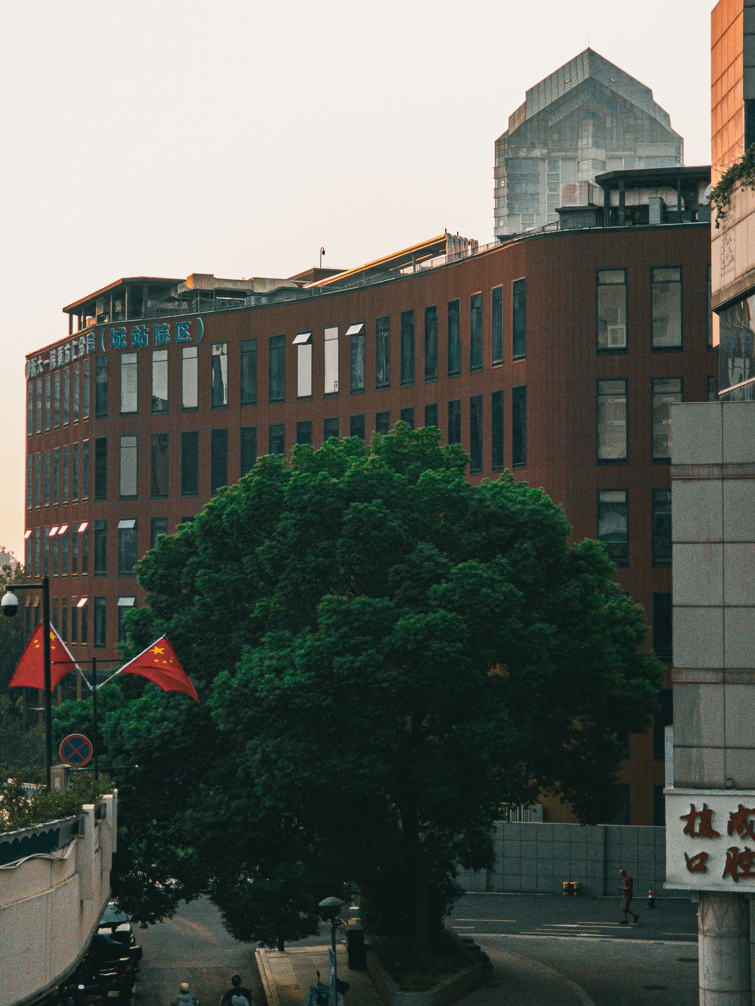 Urban Street View with Modern Architecture · Free Stock Photo